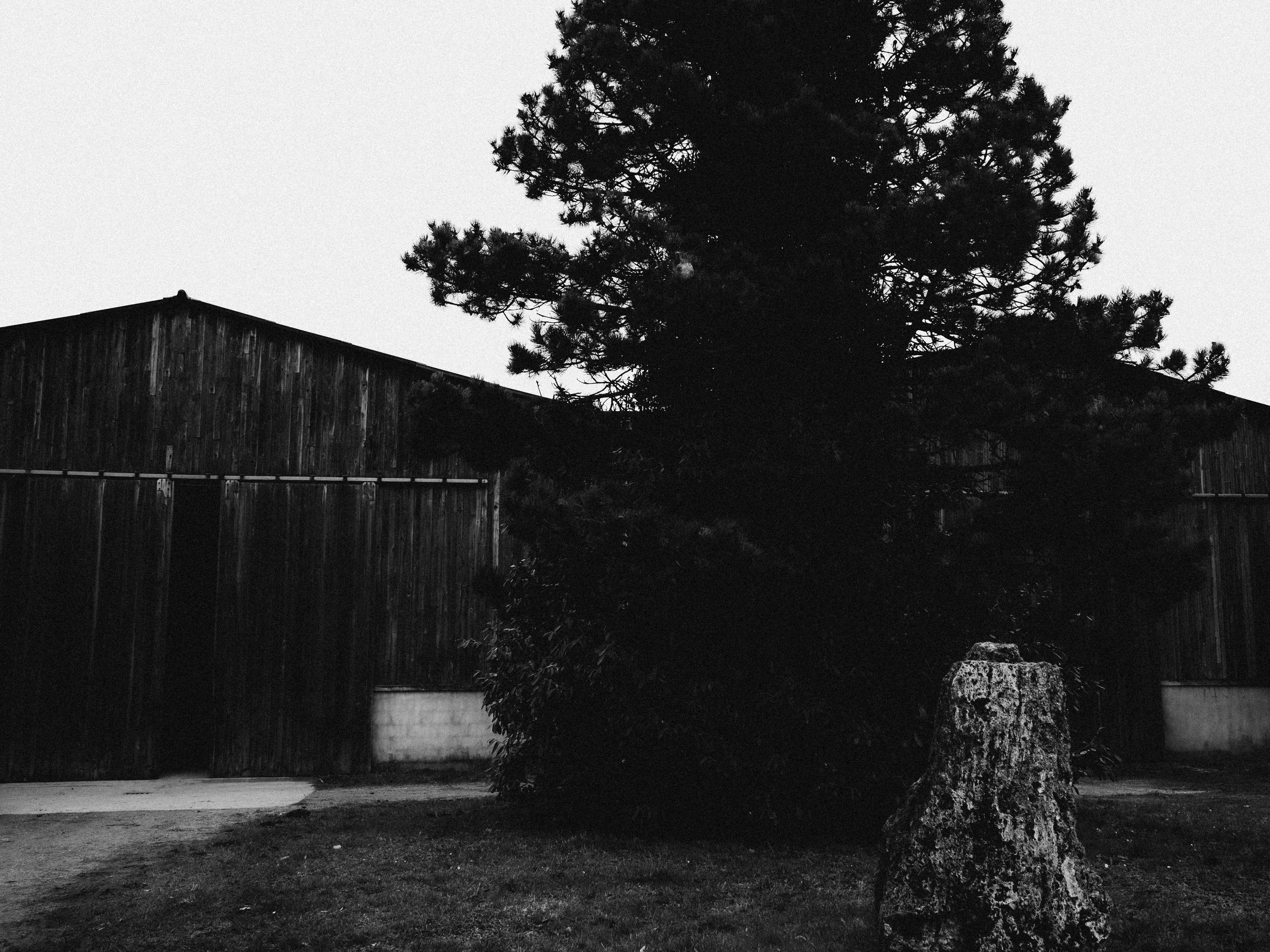Grayscale Photo of Wooden Barns · Free Stock Photo