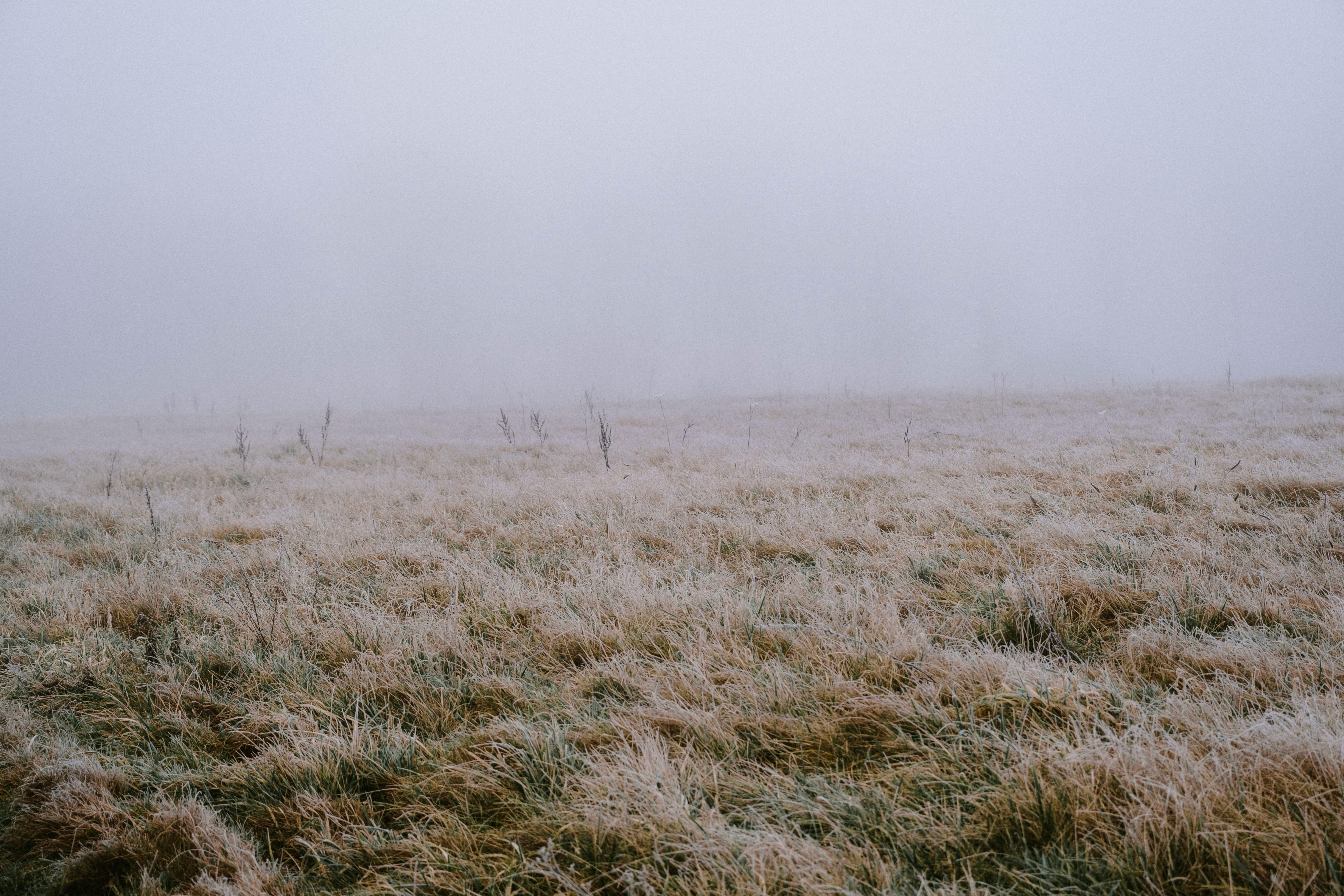 Fog over Field in Autumn · Free Stock Photo