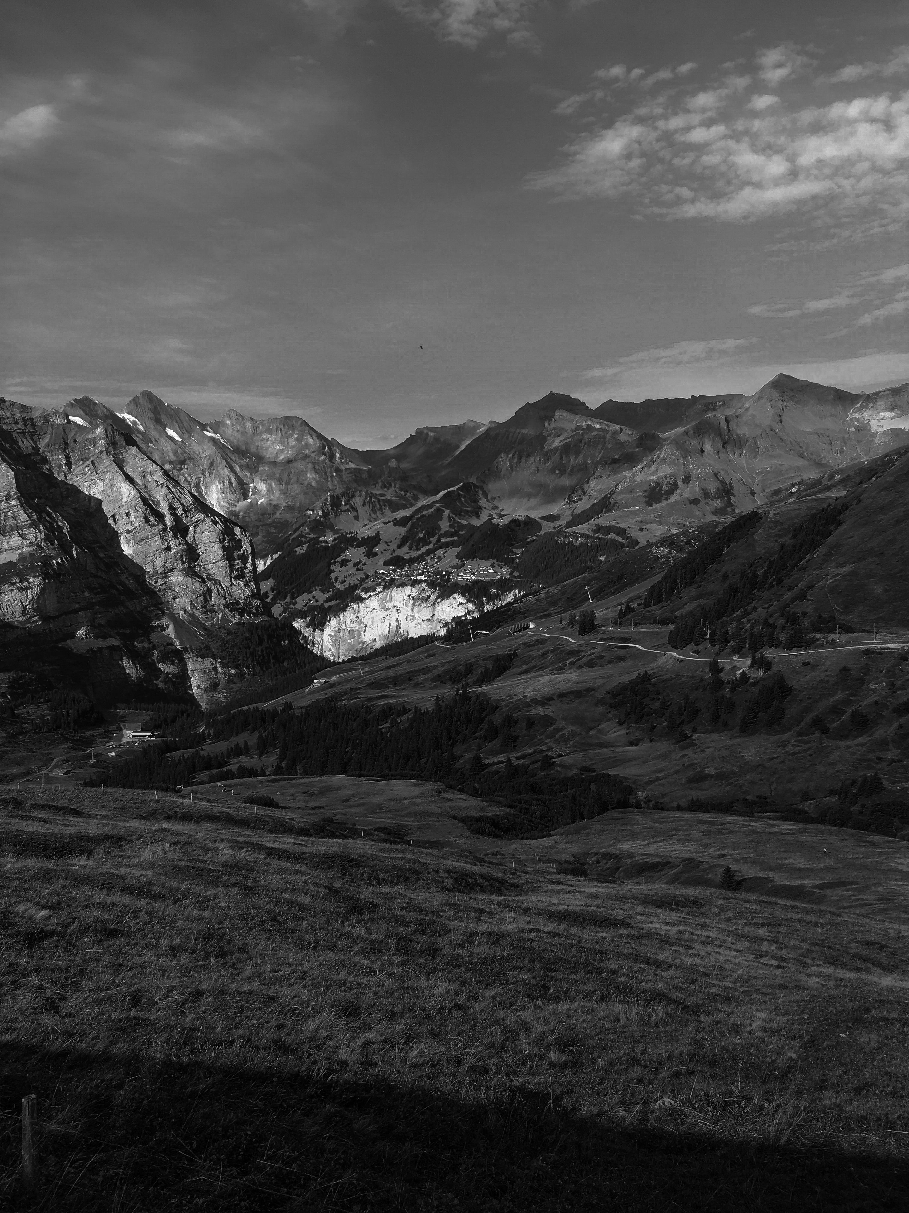 Grayscale Photo of Mountains and Trees · Free Stock Photo