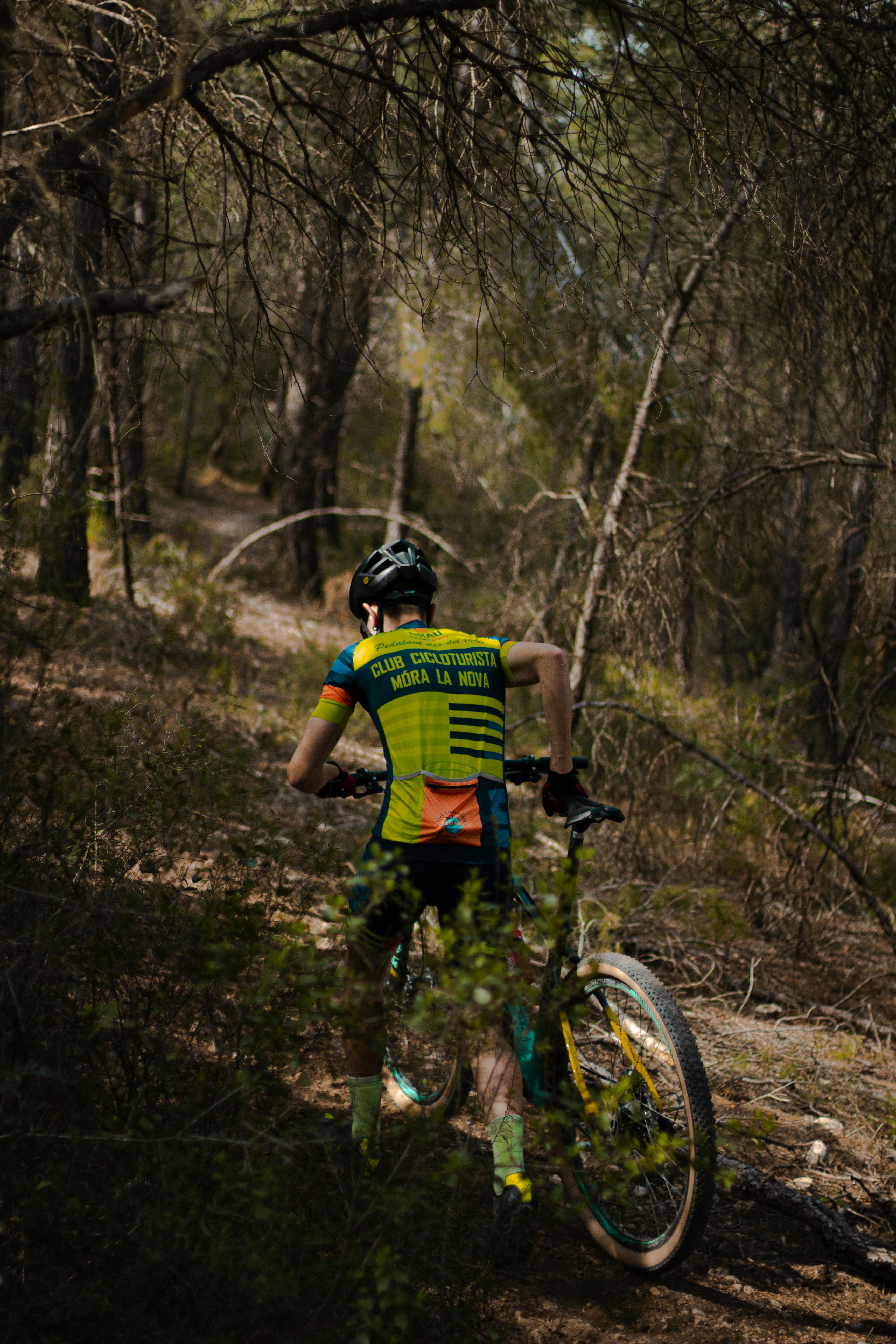 Cycling Forest Photos, Download The BEST Free Cycling Forest Stock ... Cycling Forest Photos, Download The BEST Free Cycling Forest Stock ...