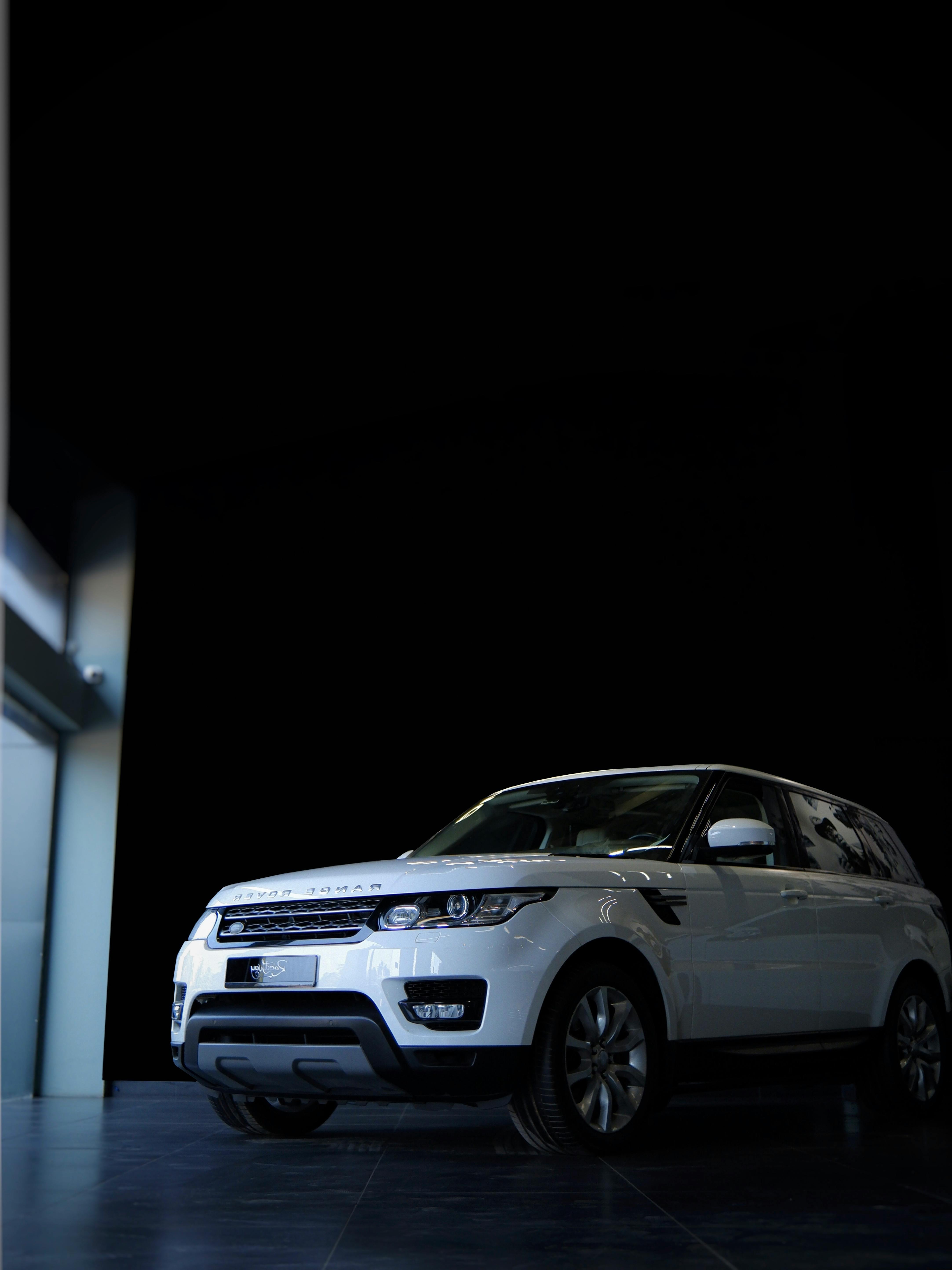 Display Primal Photos, Download Free Display Primal Stock Photos & HD ...