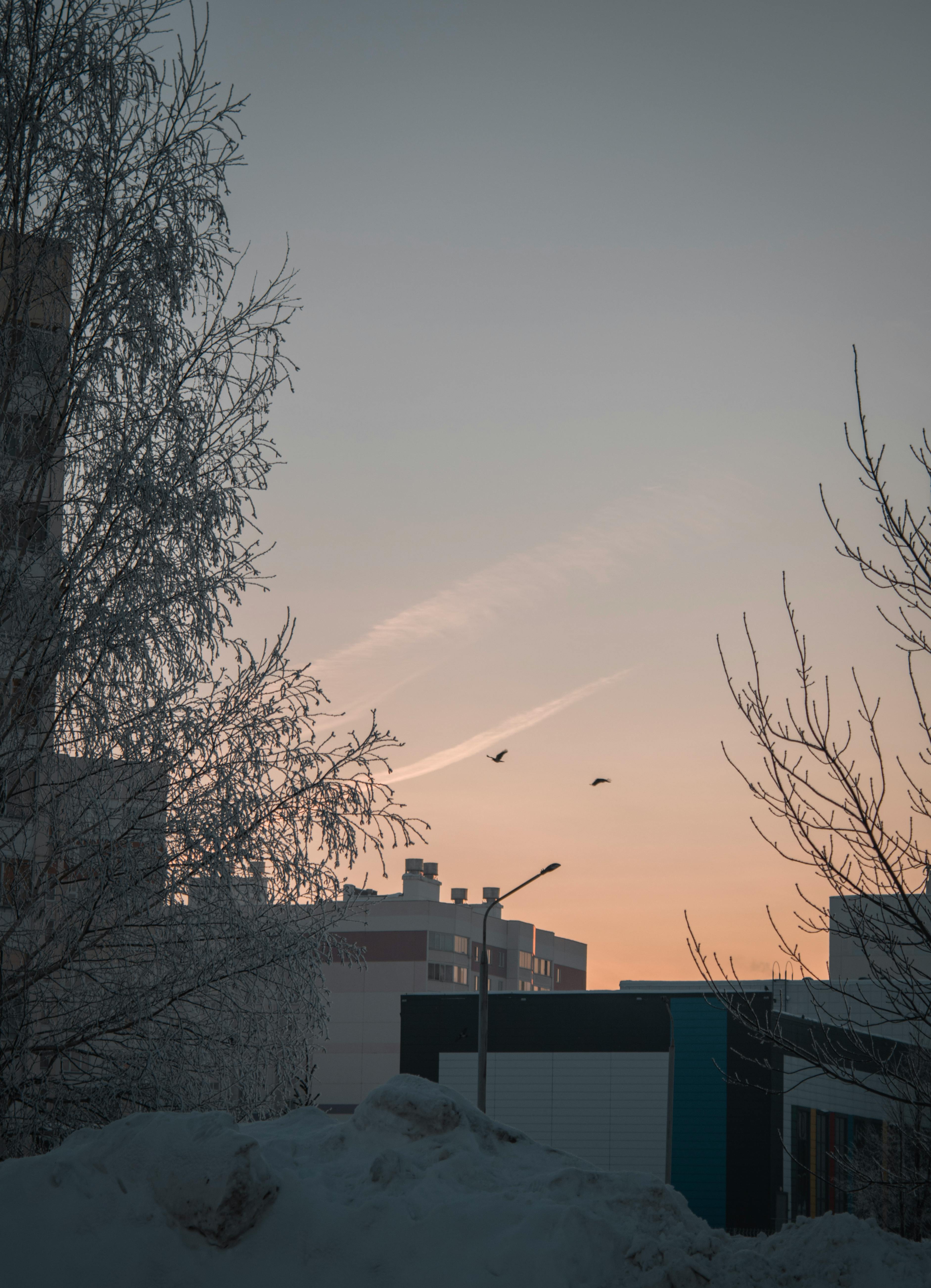City Building during Sunset · Free Stock Photo
