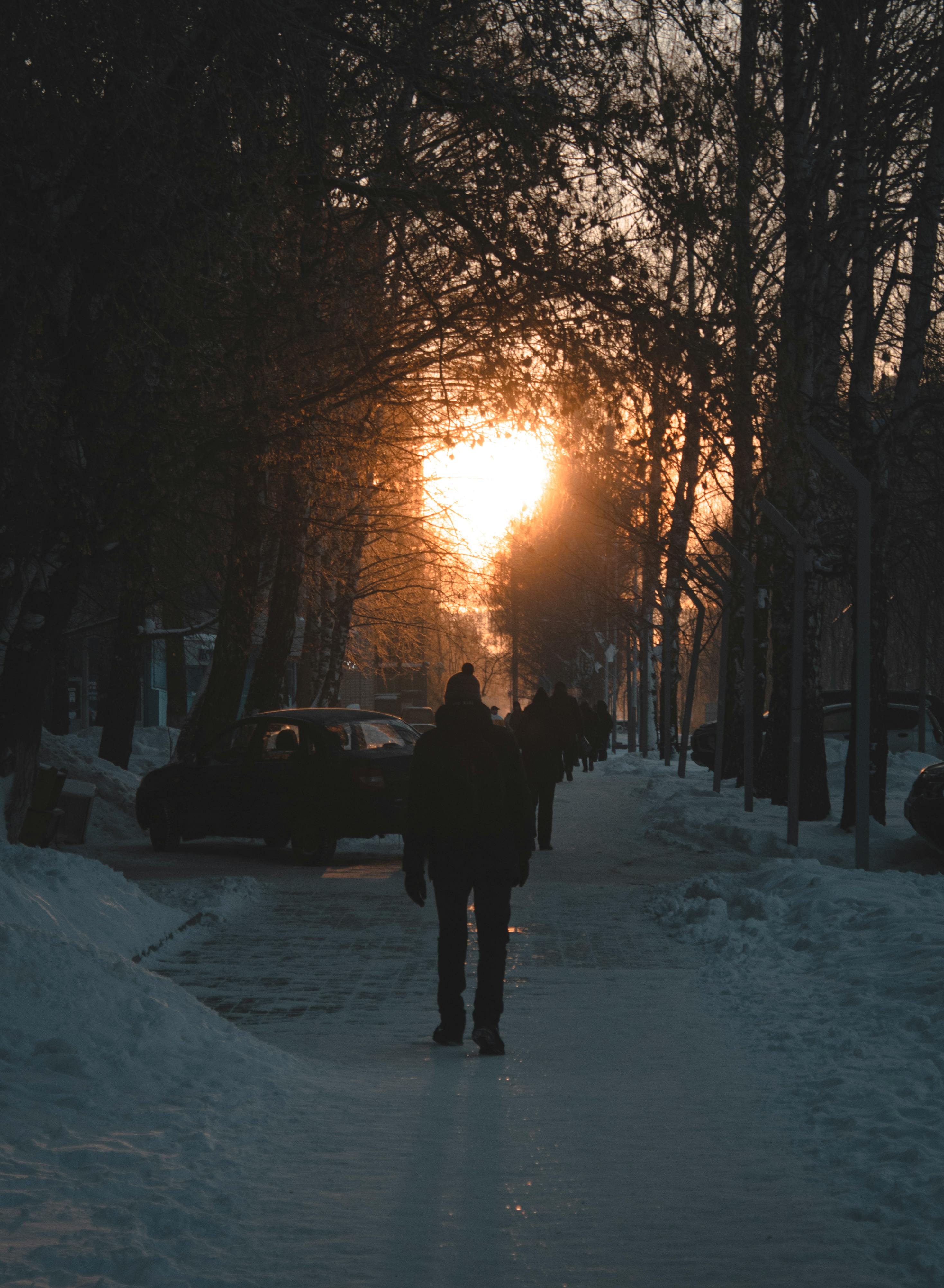 Person Walking on Snow Covered Sidewalk · Free Stock Photo