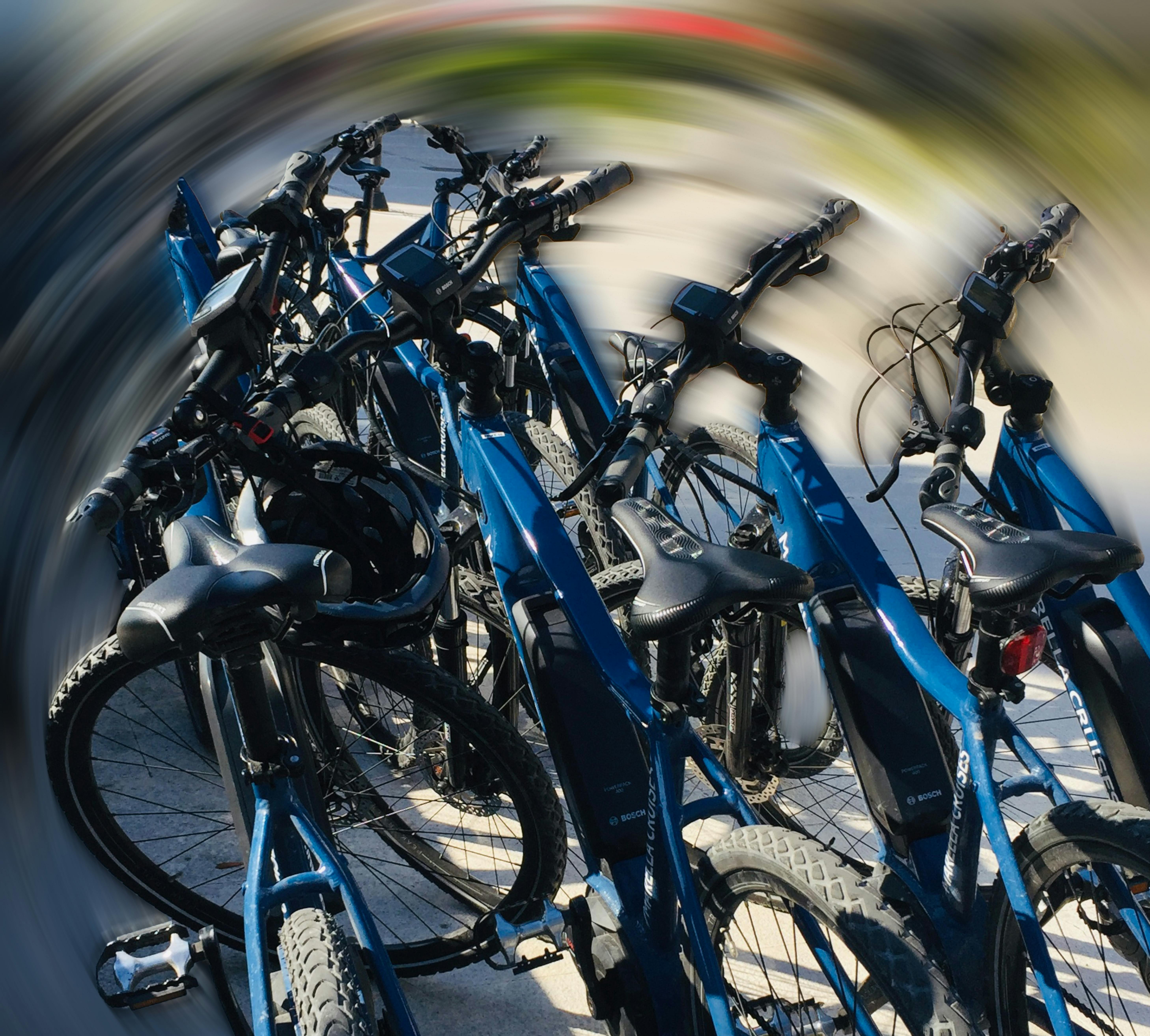 Bicycles 18 Photos & Videos Collected by David C Murray