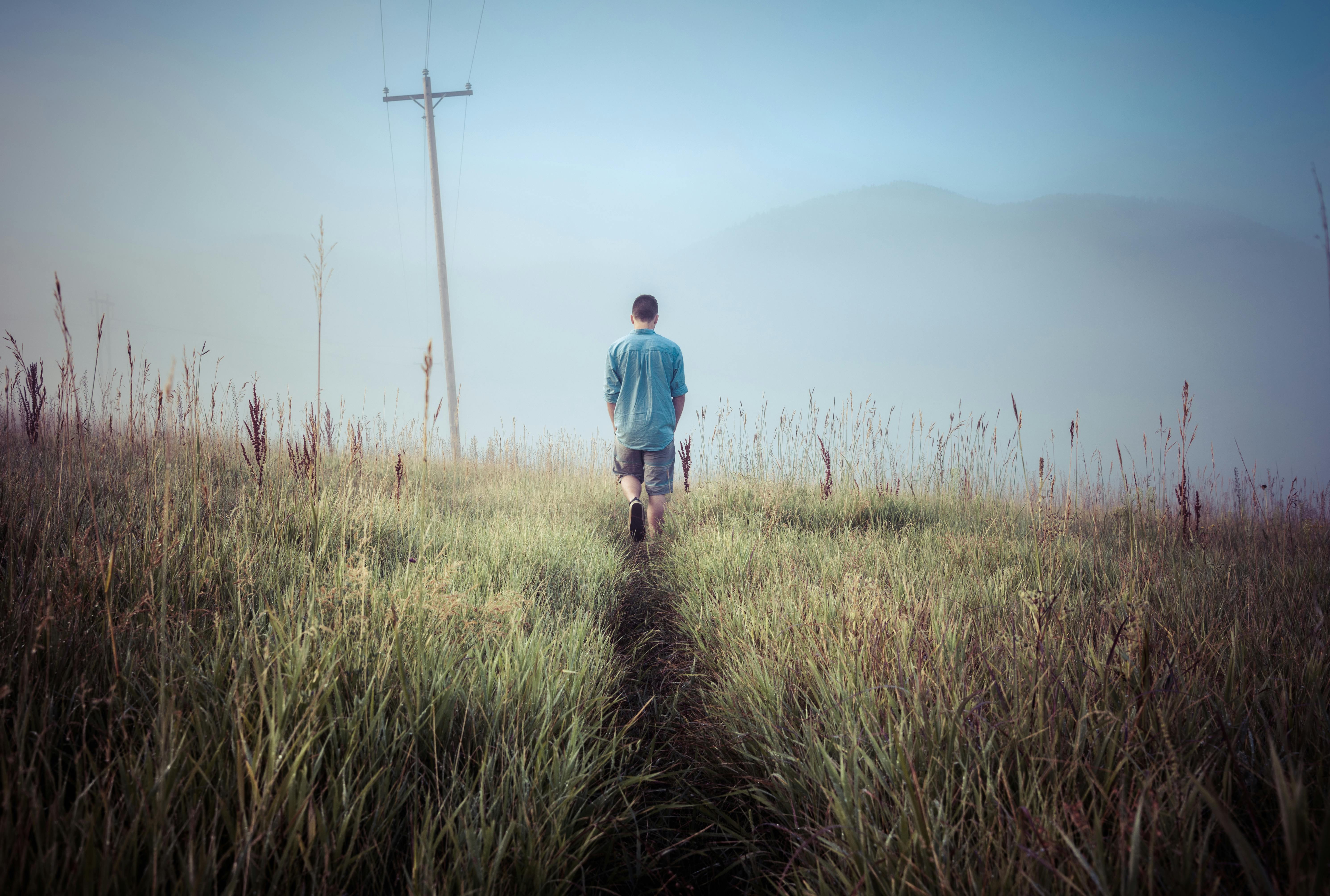 Free stock photo of field, hiking, man Free stock photo of field, hiking, man