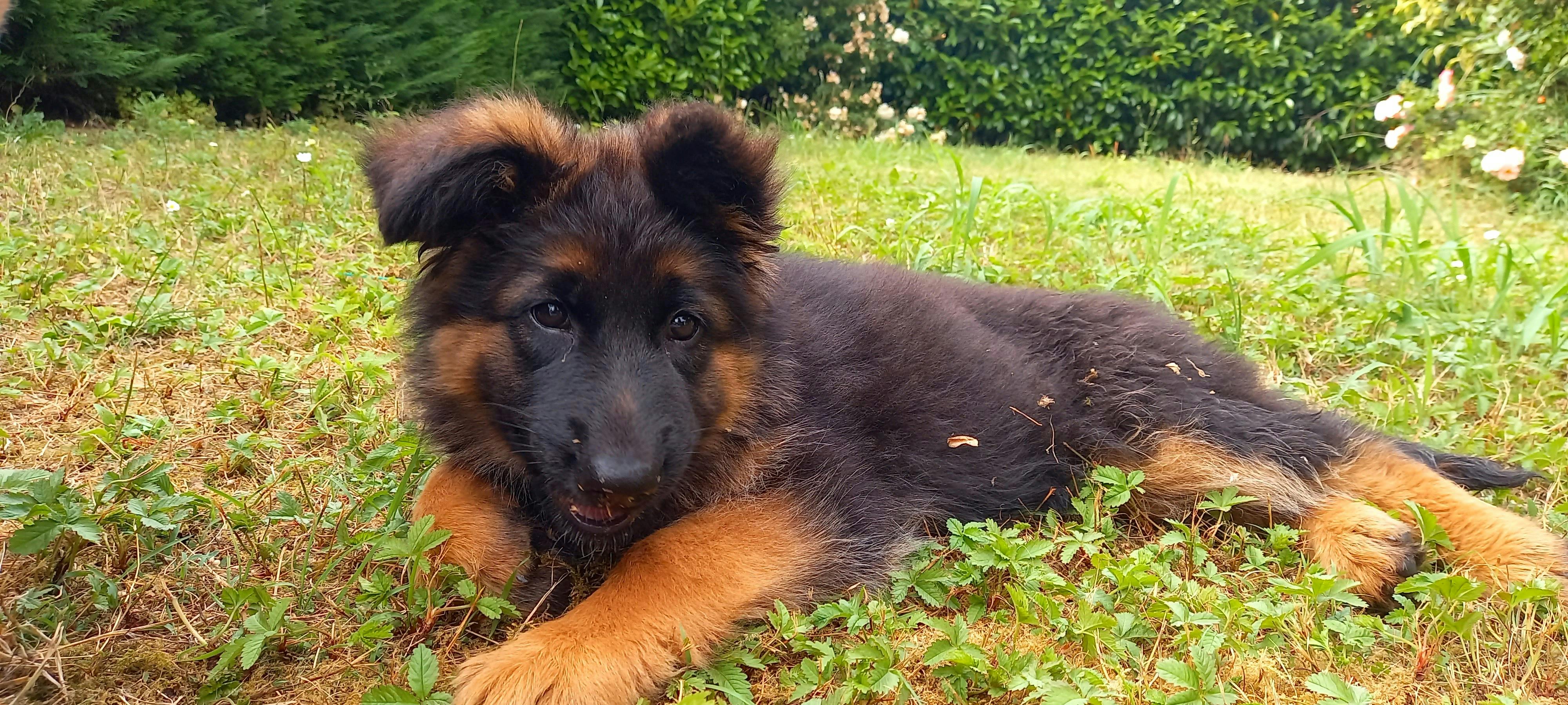 Andrea Parolini - 사진