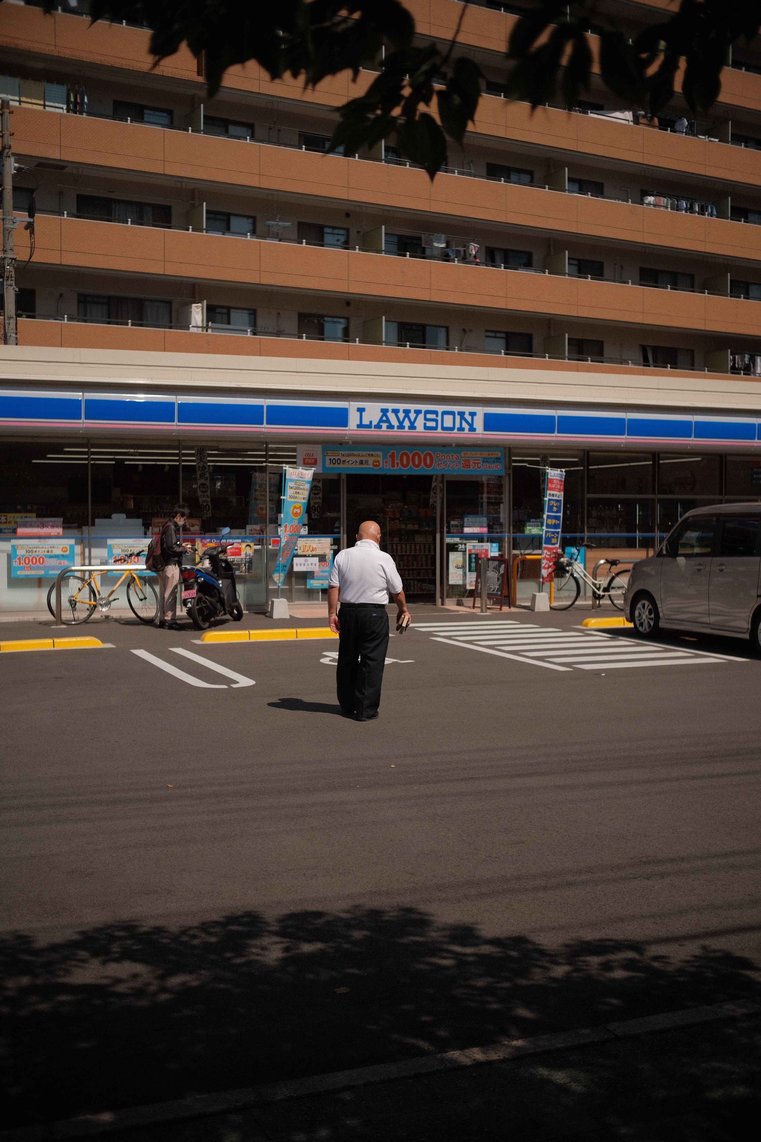 Lawson Photos, Download The BEST Free Lawson Stock Photos & HD Images