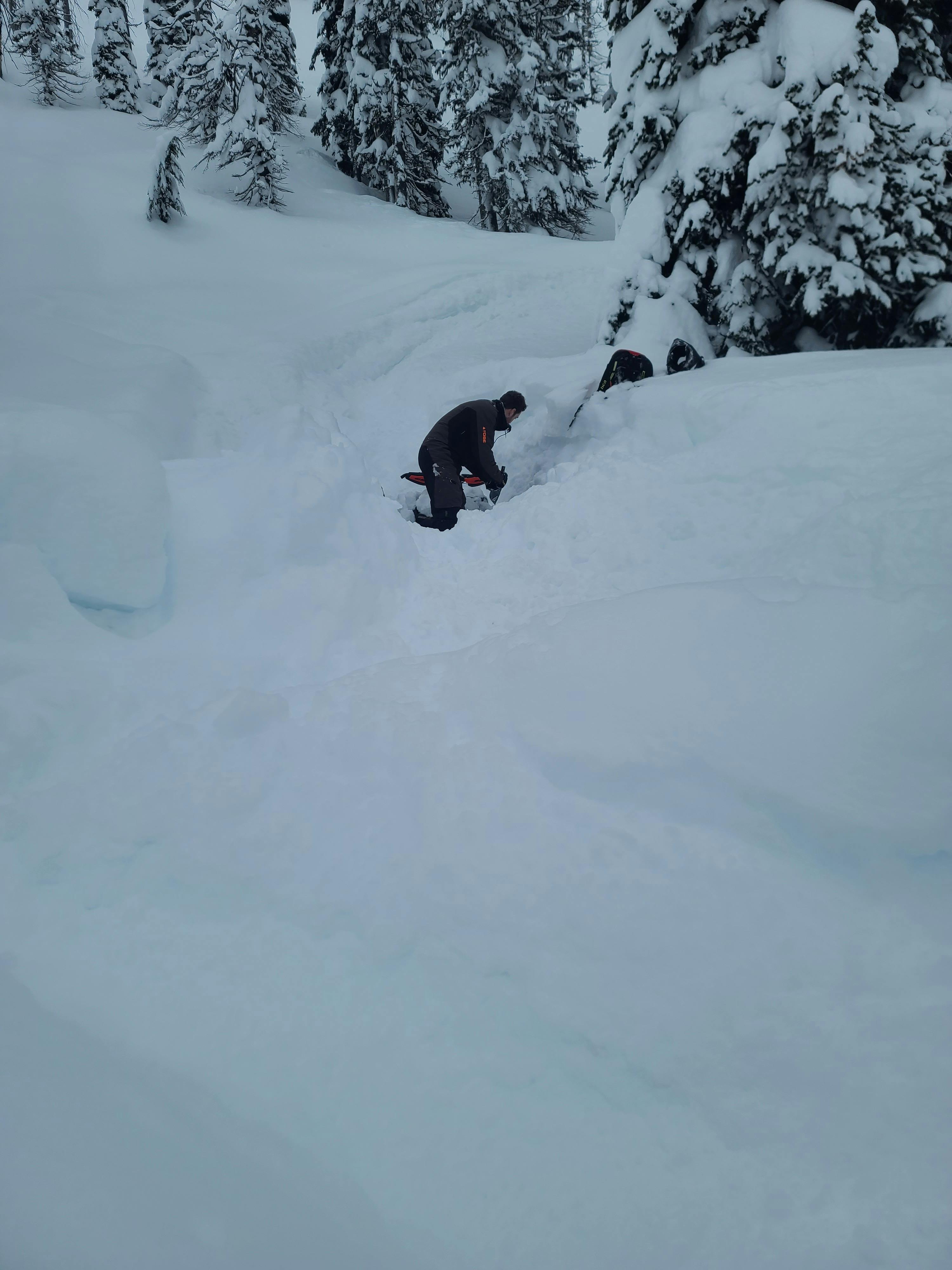 Dwight Lawrence - 사진