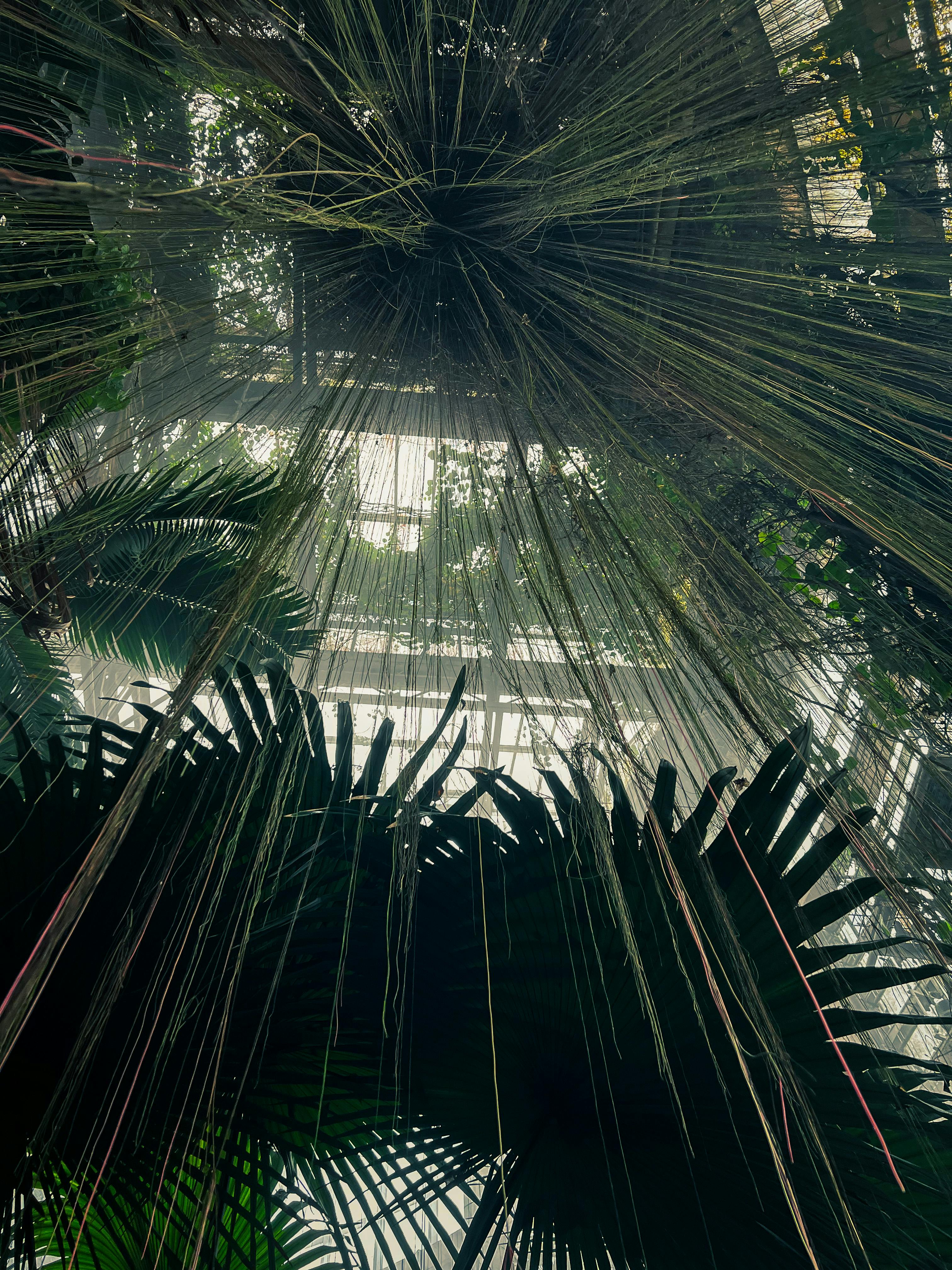 Low Hanging Scrotum Photos, Download The BEST Free Low Hanging Scrotum ...