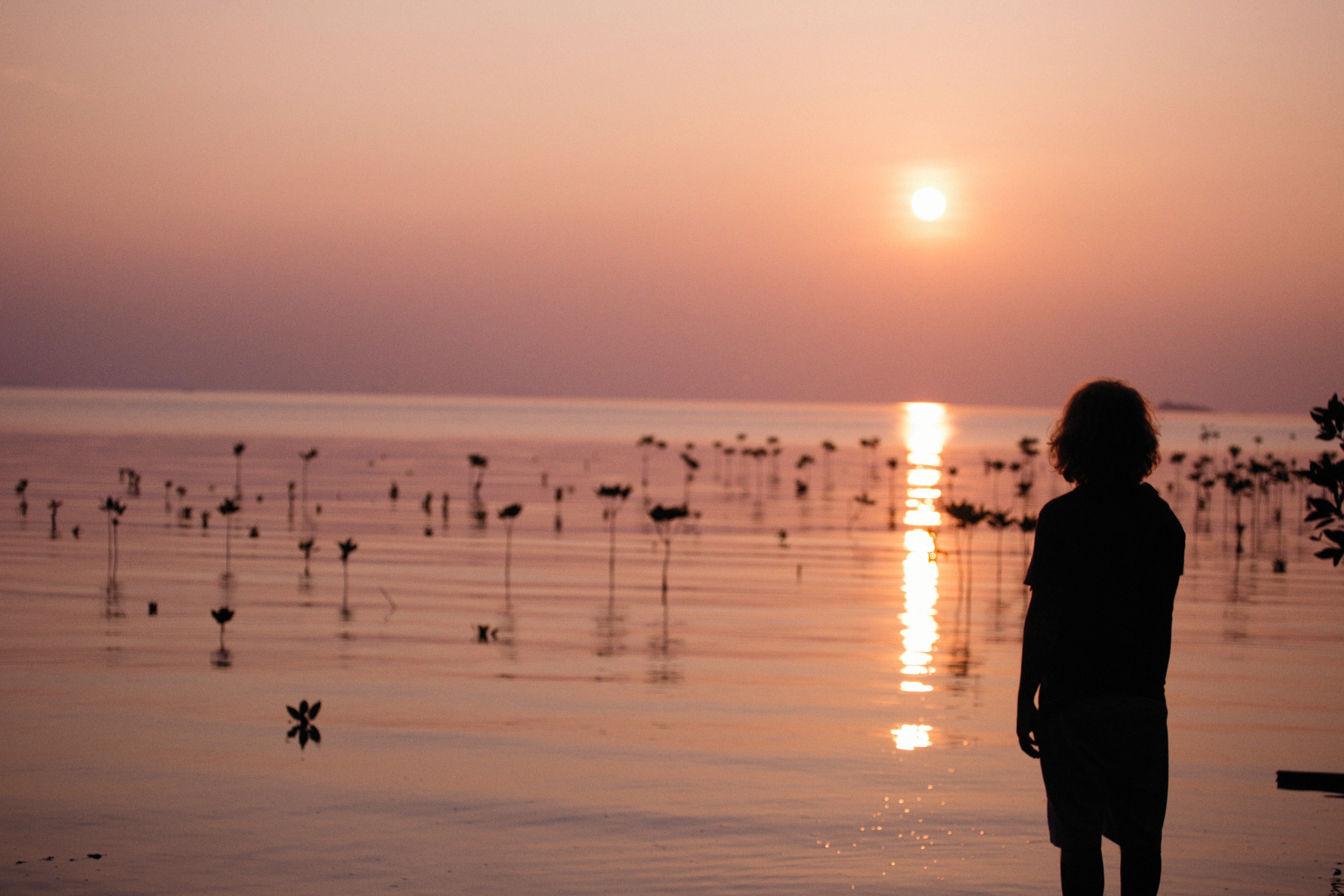 Human And Mangrove Photos, Download The BEST Free Human And Mangrove ...