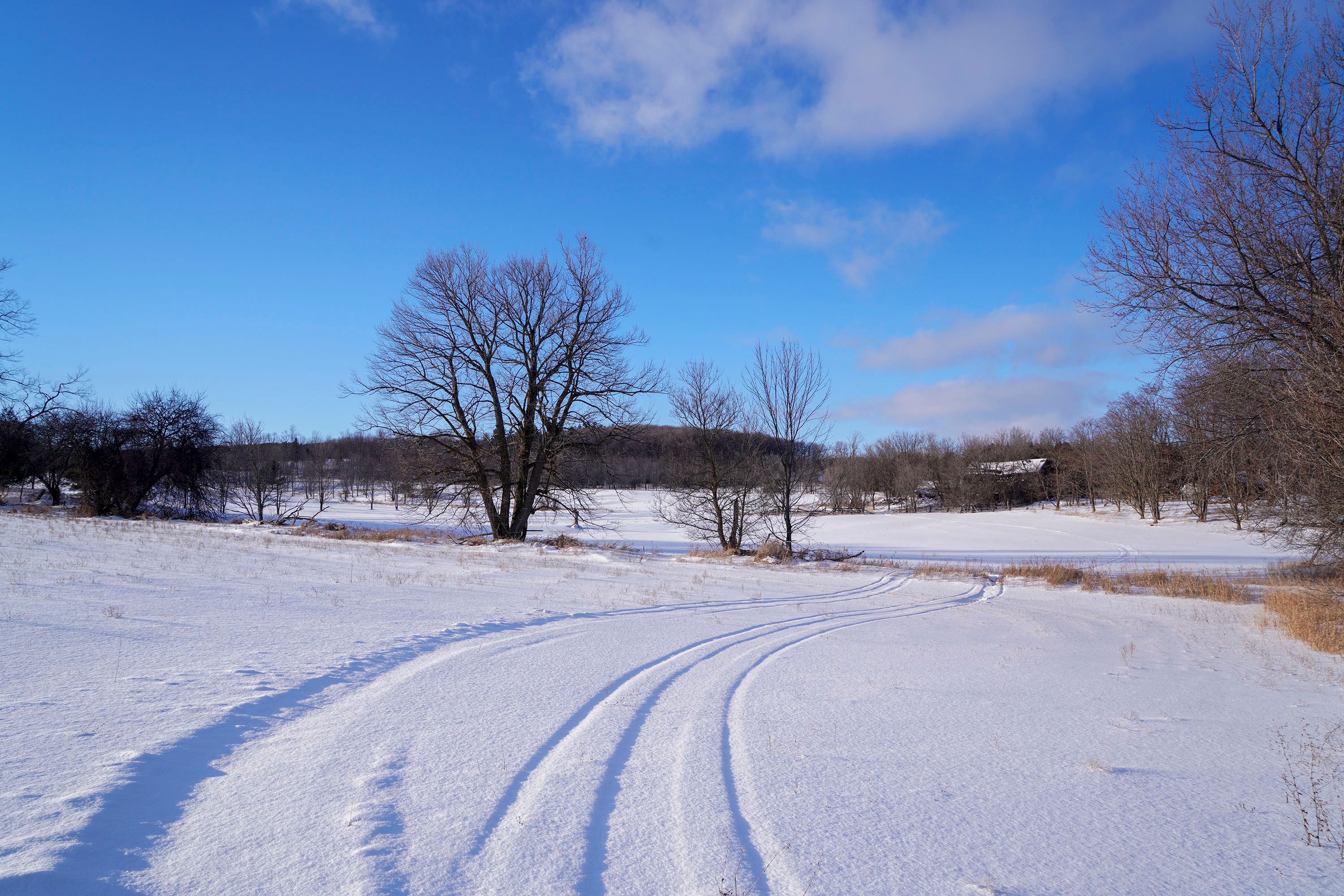 Farm in Snow · Free Stock Photo