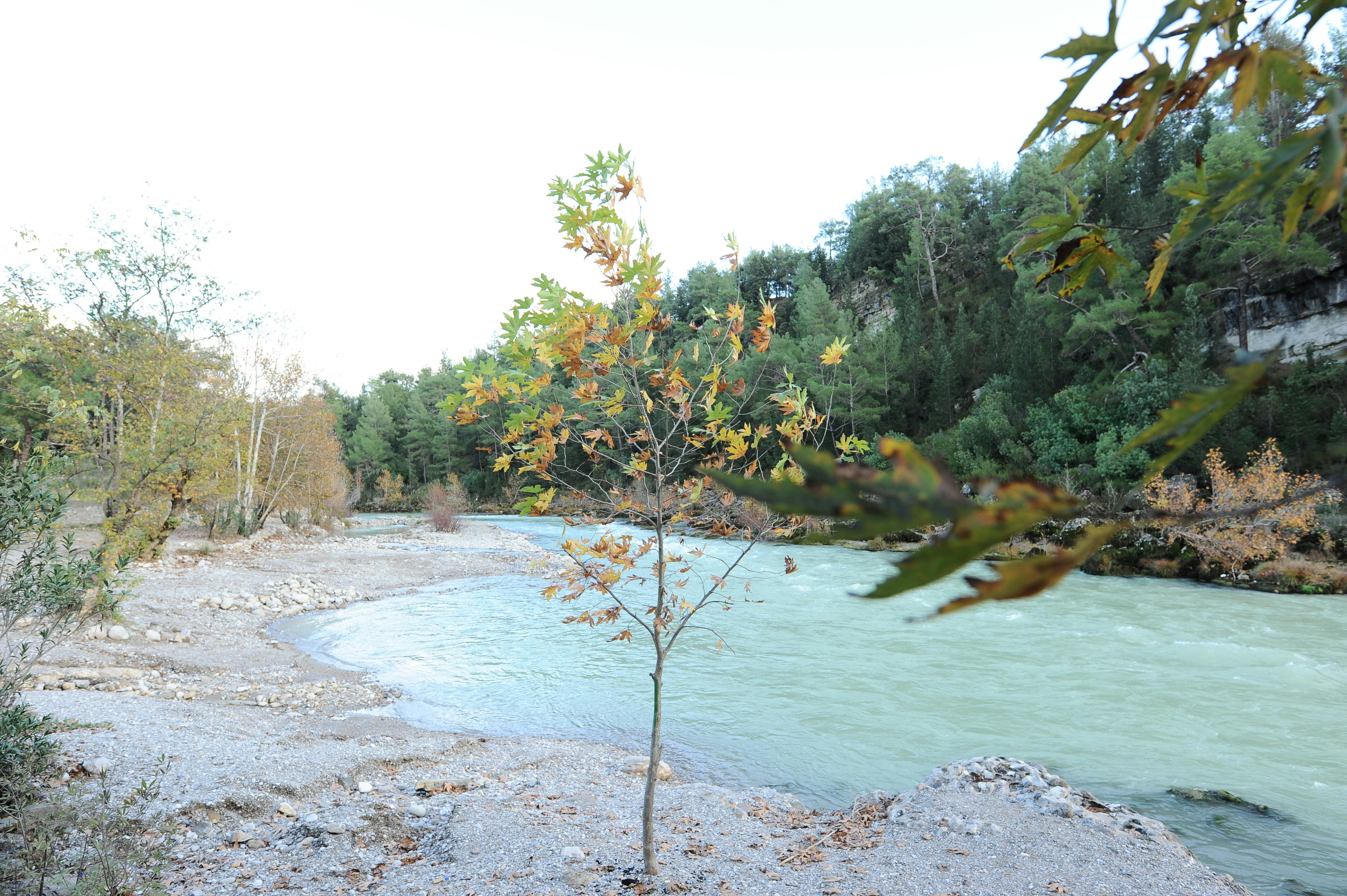 River Flowing Between the Forests in Autumn · Free Stock Photo