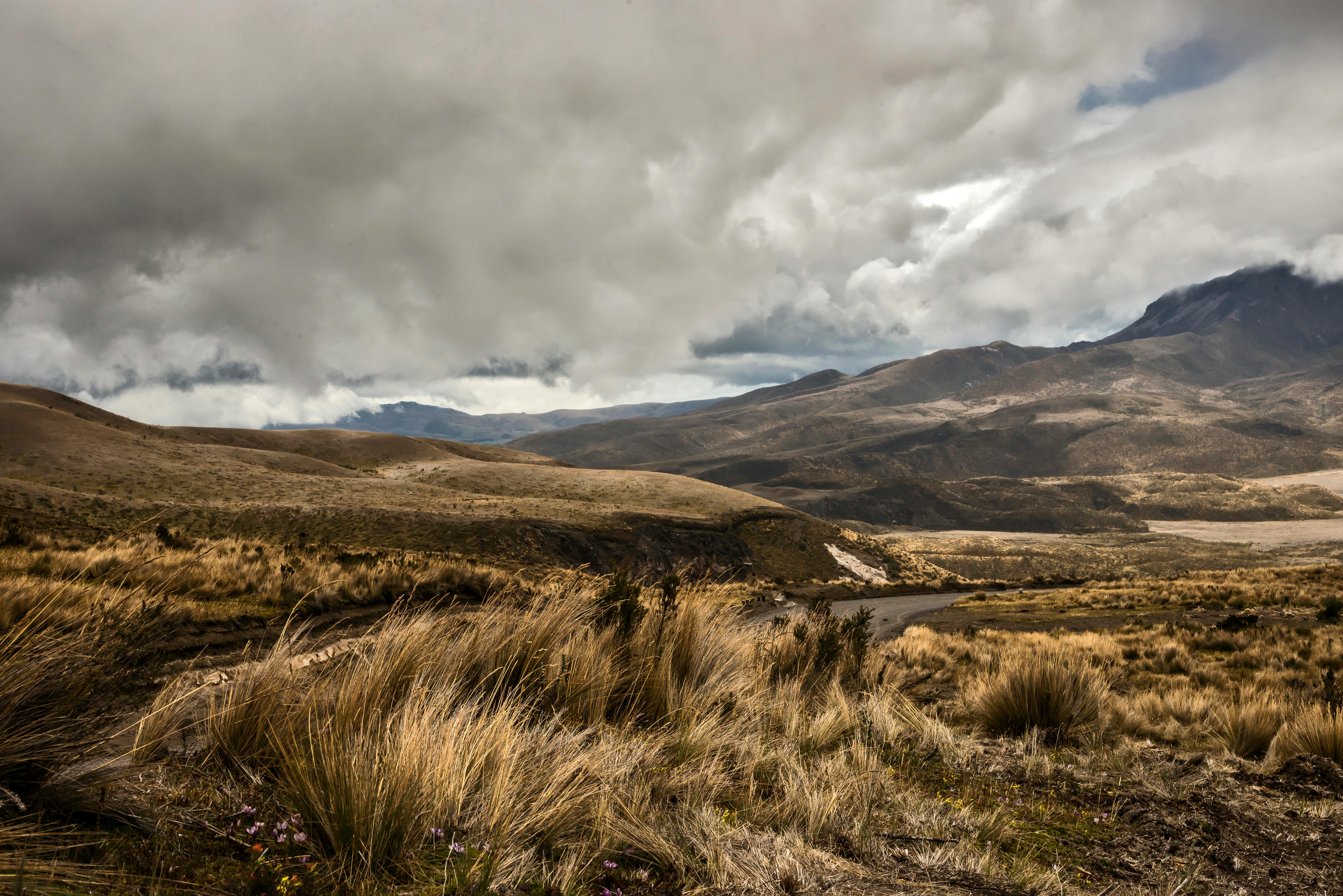Gloomy Mountain Landscape · Free Stock Photo