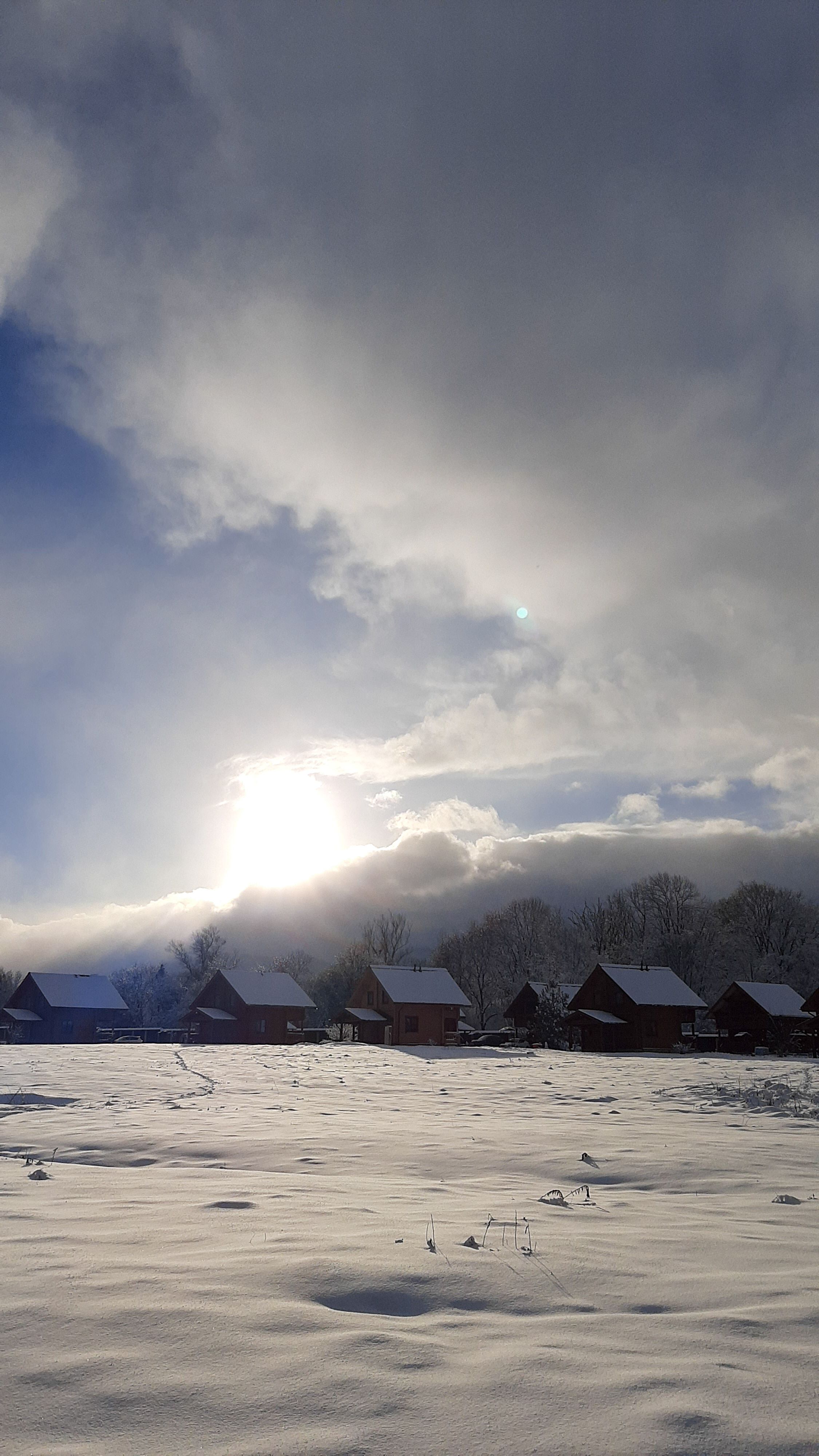 Snow Covered Land · Free Stock Photo