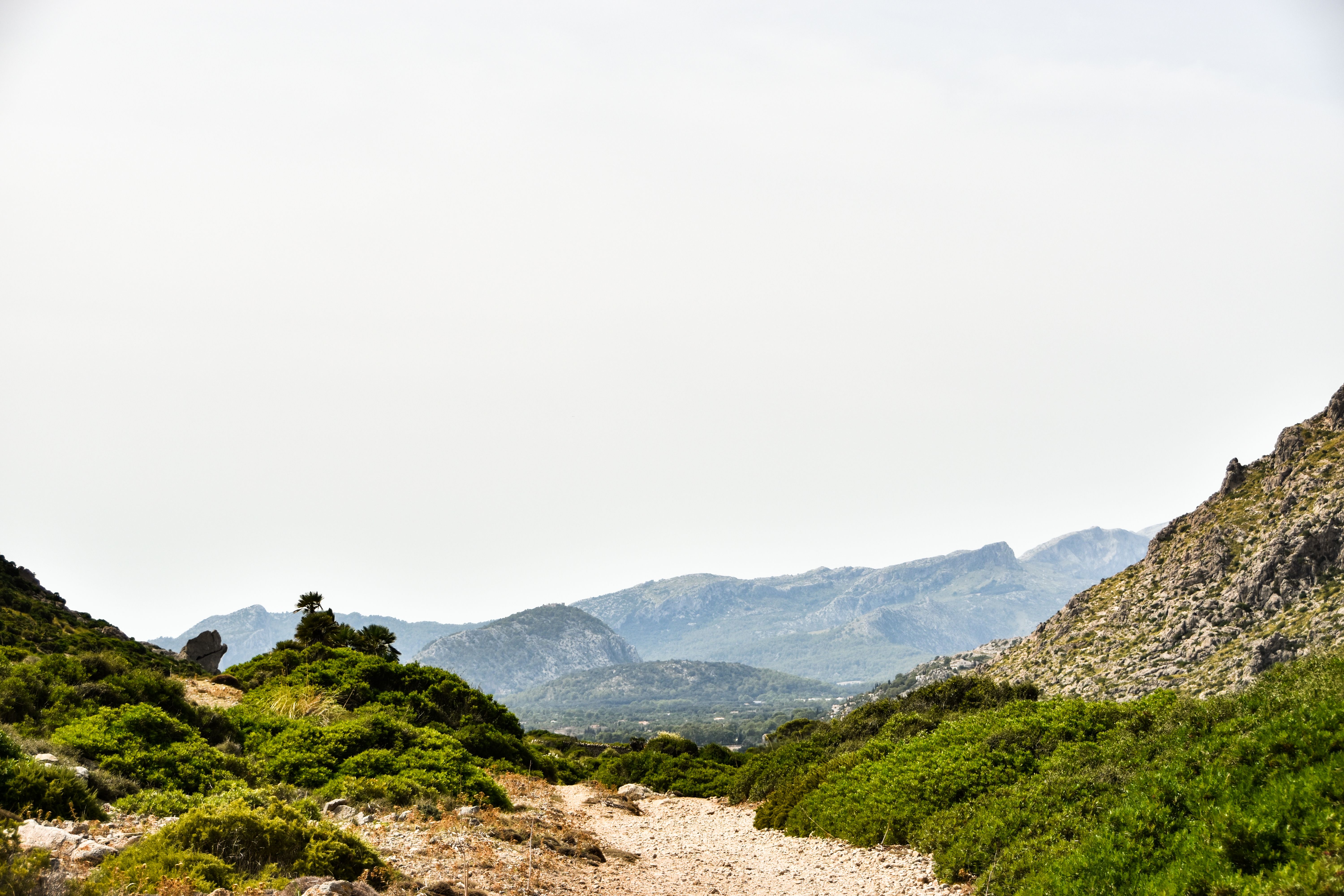 Bushes on Hills · Free Stock Photo