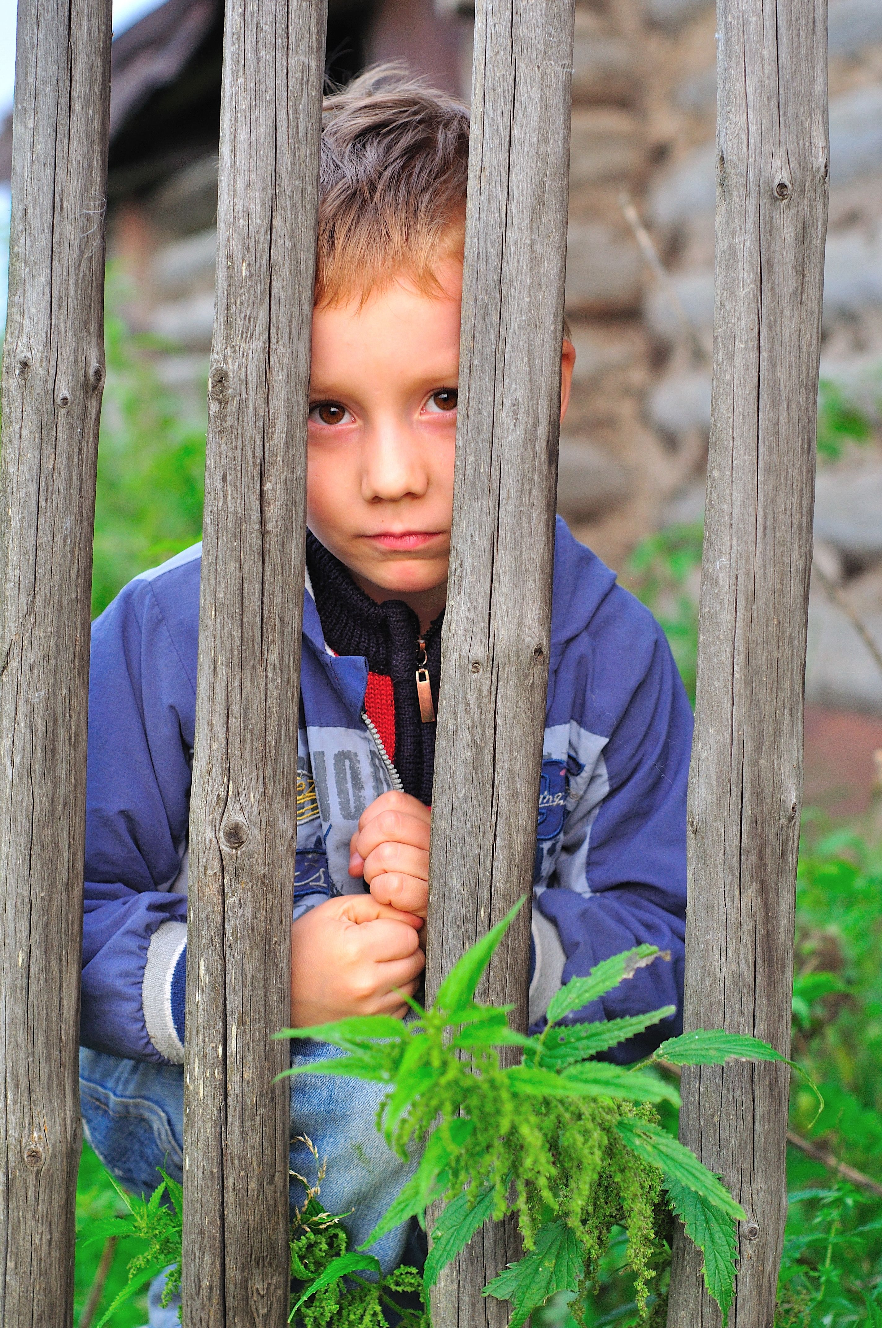Shvili - Photography