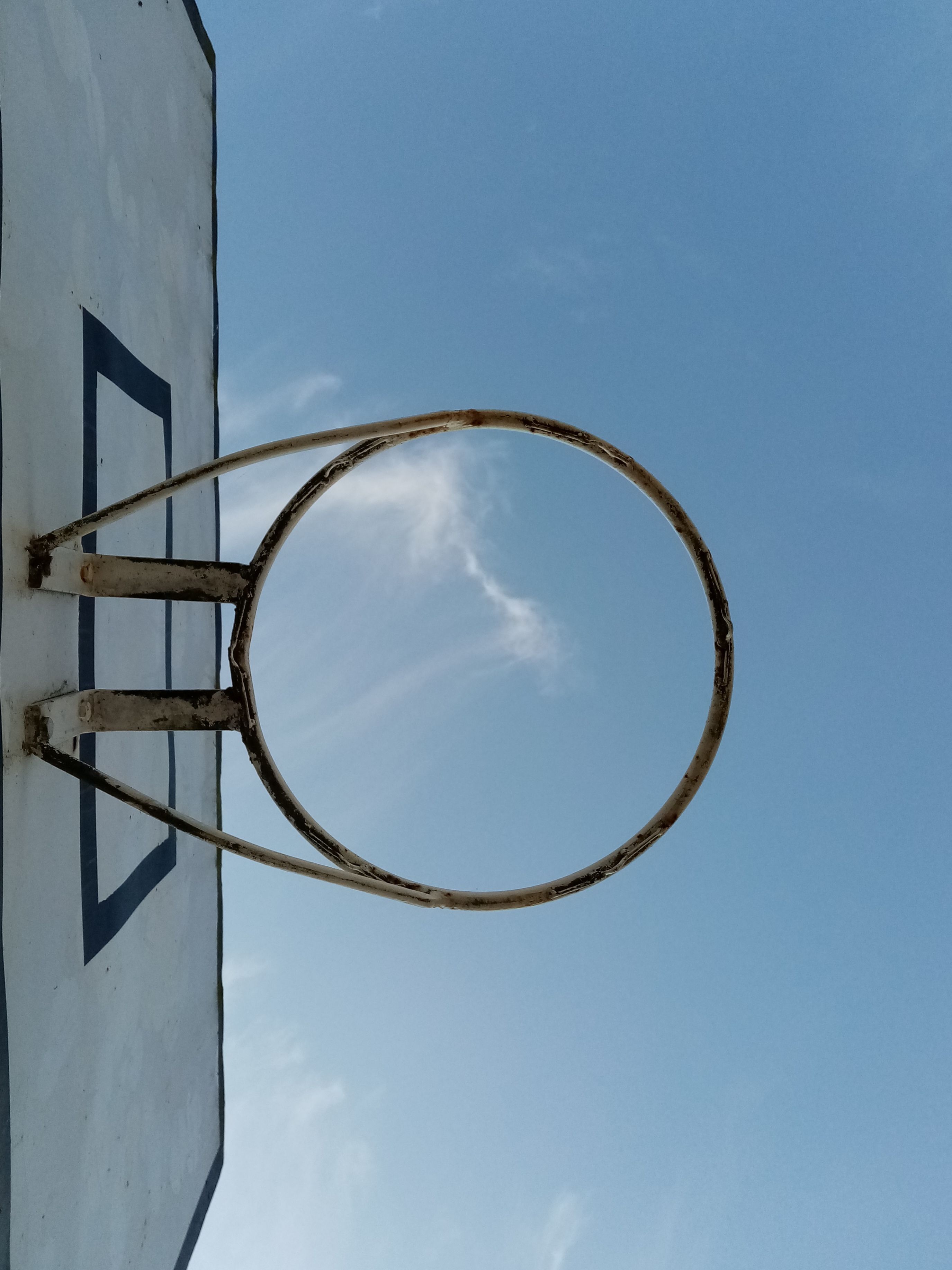 A Basketball Hoop on Green Grass Near Buildings · Free Stock Photo