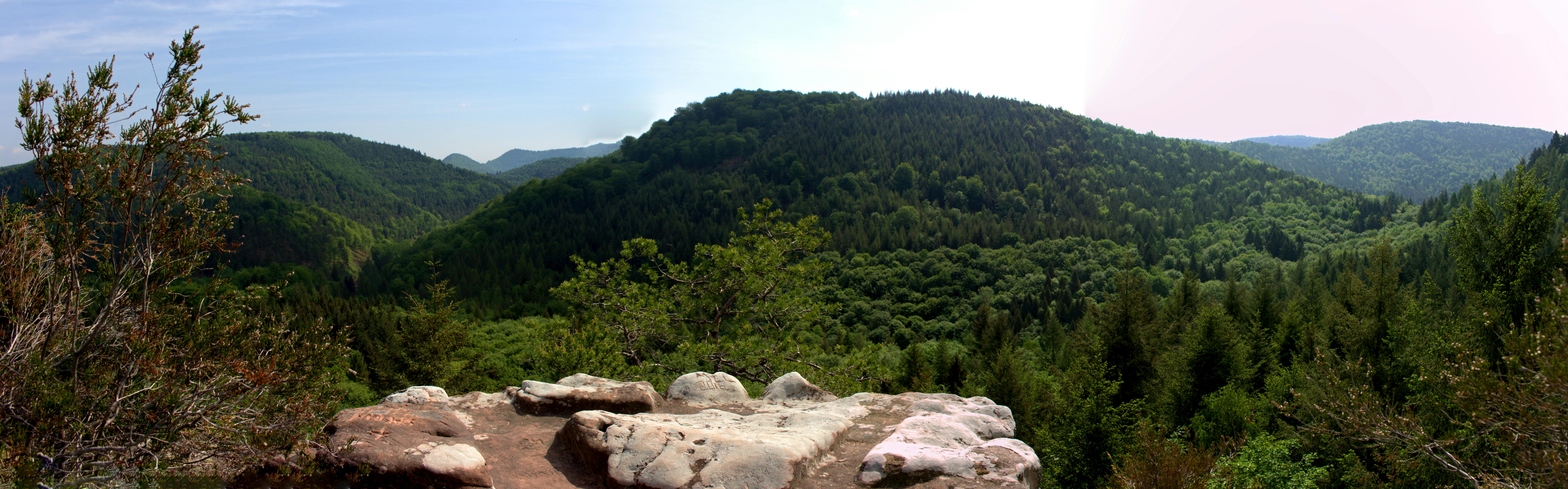 Landscape Photography of Hill · Free Stock Photo