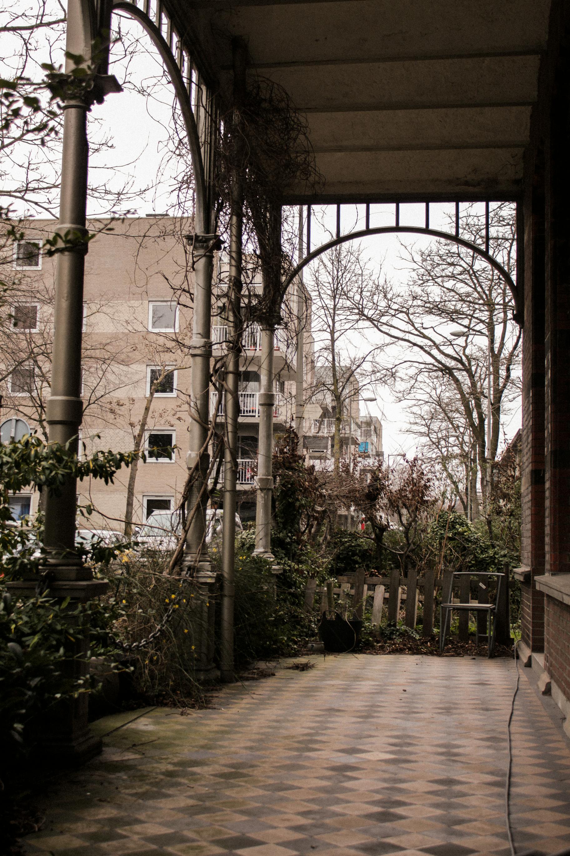 Plants and Trees near Buildings in Town · Free Stock Photo