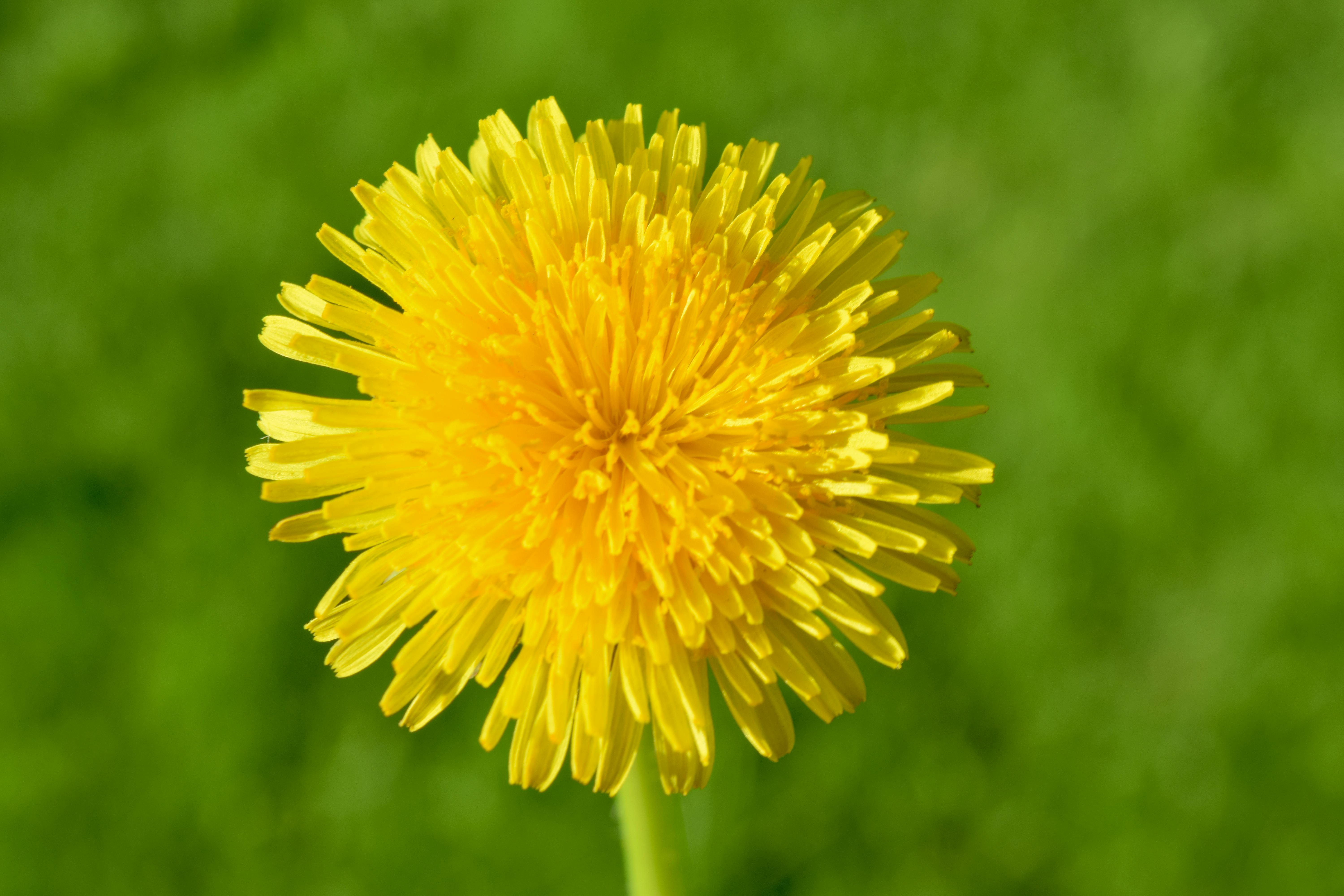 My best photos 21 Photos & Videos Collected by Daniel Absi