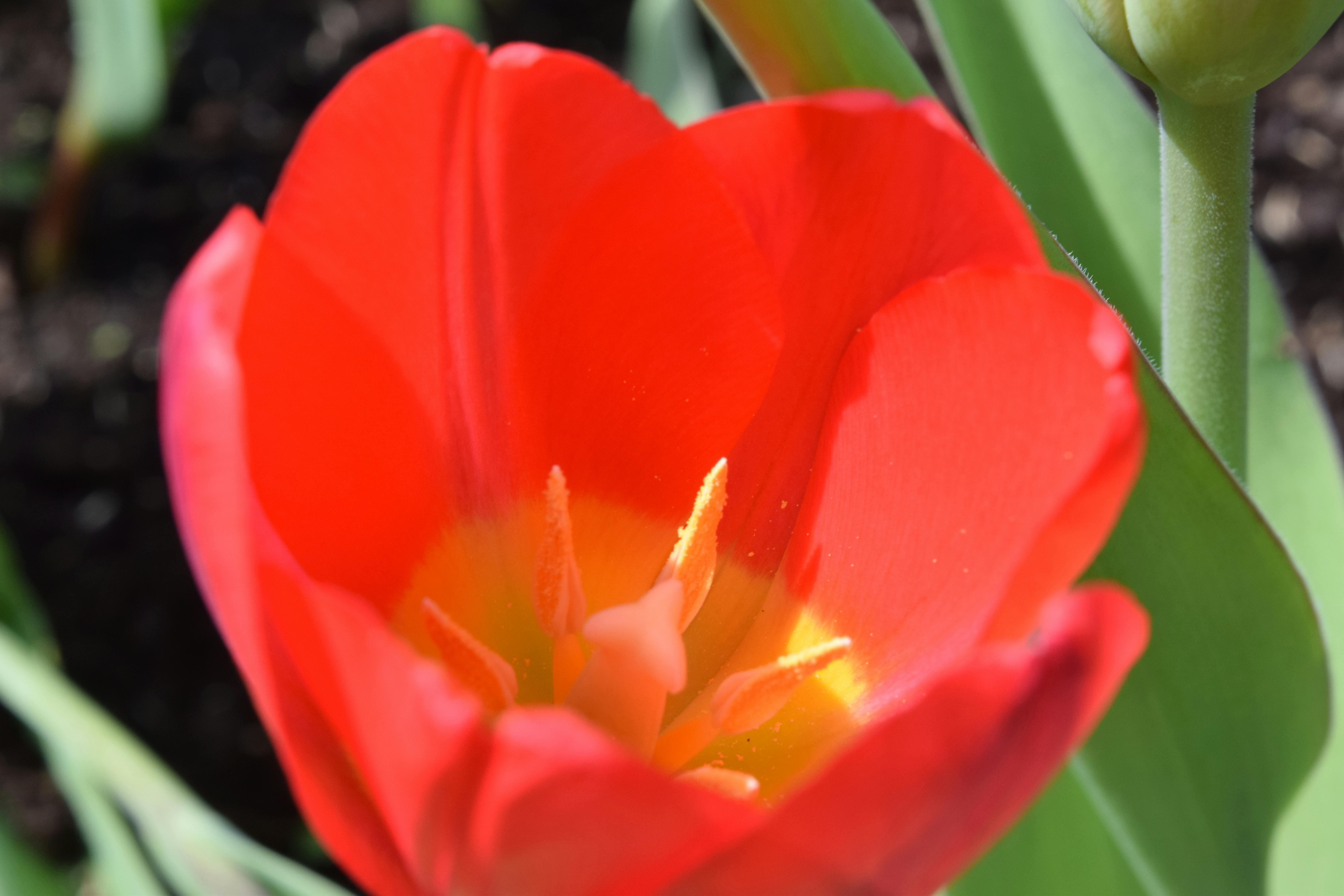 My best photos 21 Photos & Videos Collected by Daniel Absi