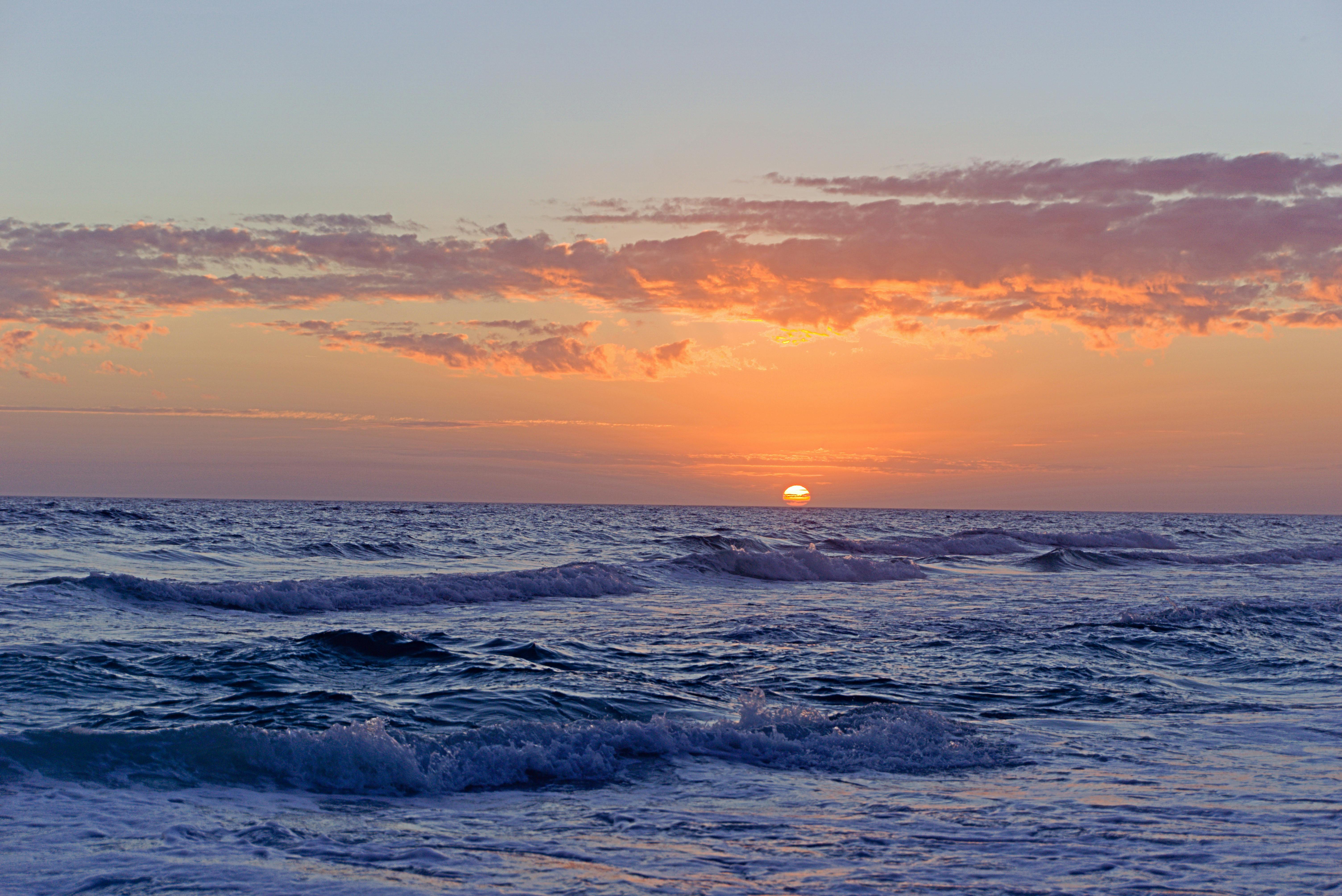 Sea Shore View on Sunset · Free Stock Photo