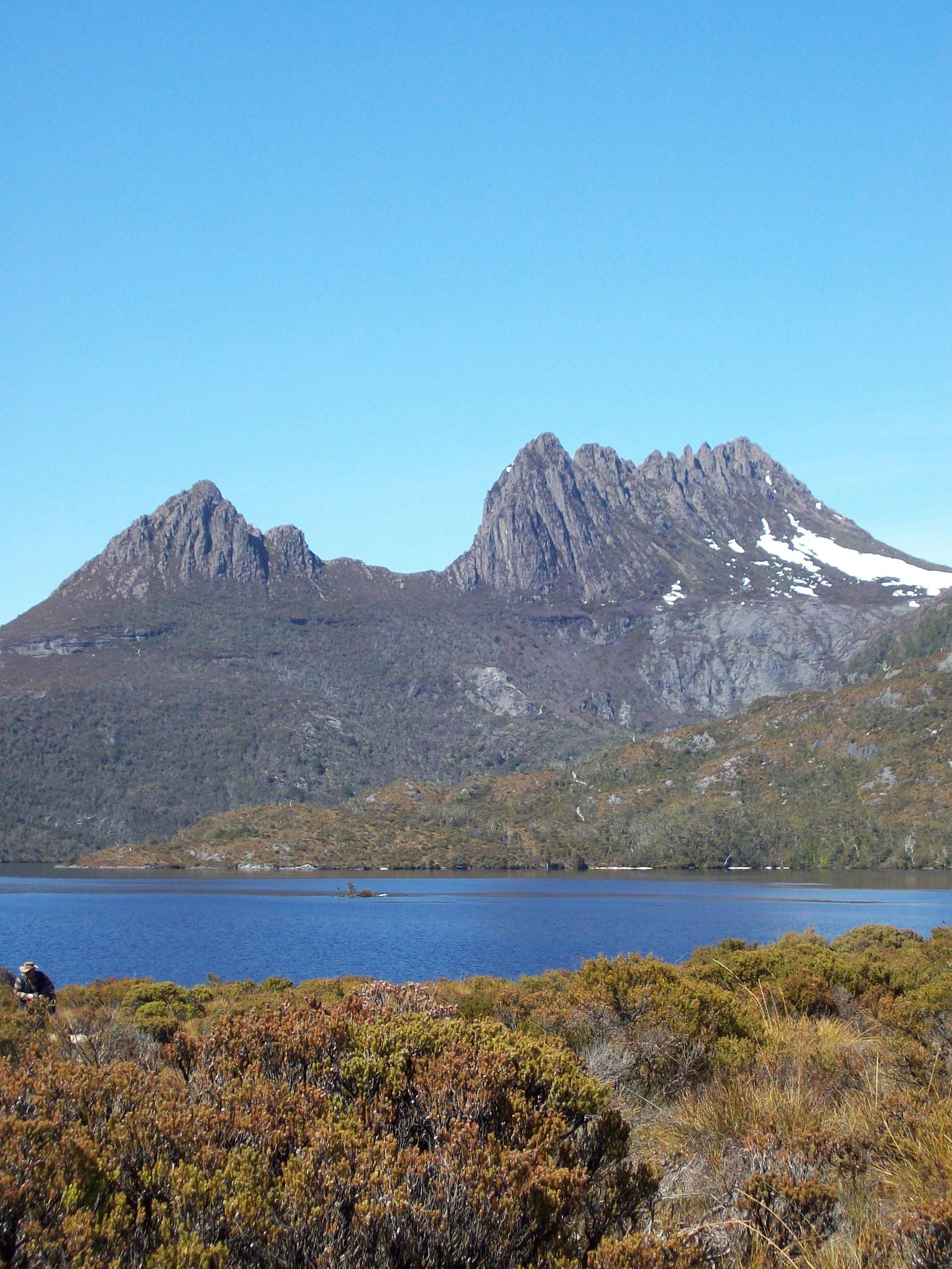 Free stock photo of dark green, reflection, trees