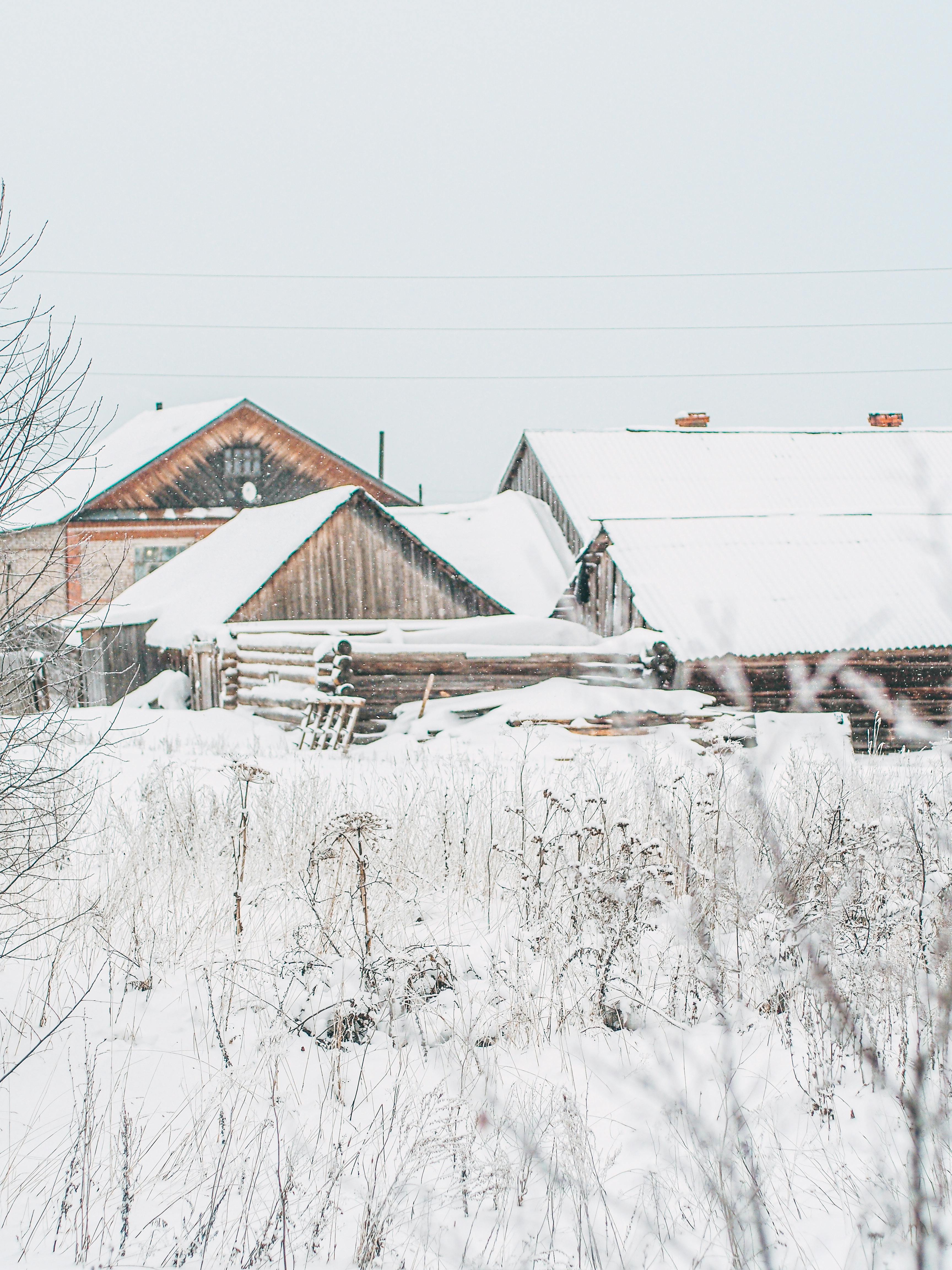 Snow in Village · Free Stock Photo
