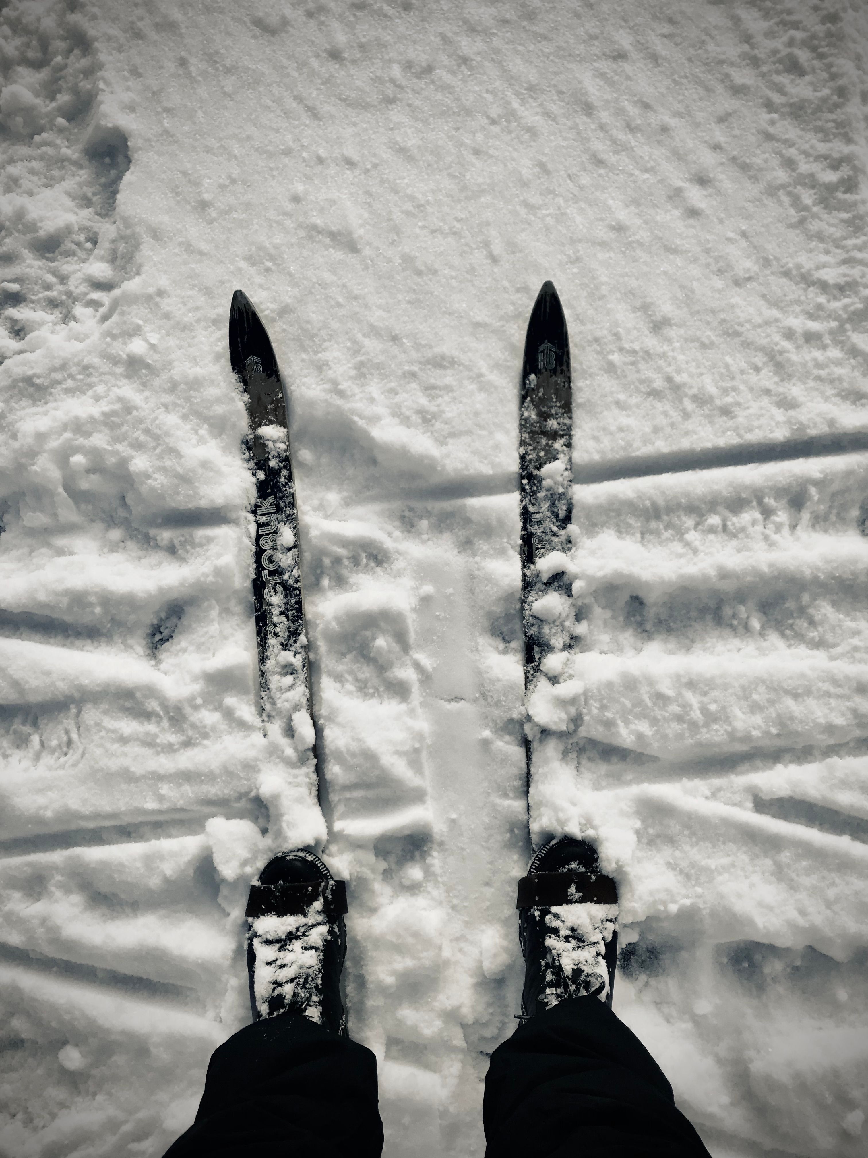 Person in Black Snow Ski · Free Stock Photo