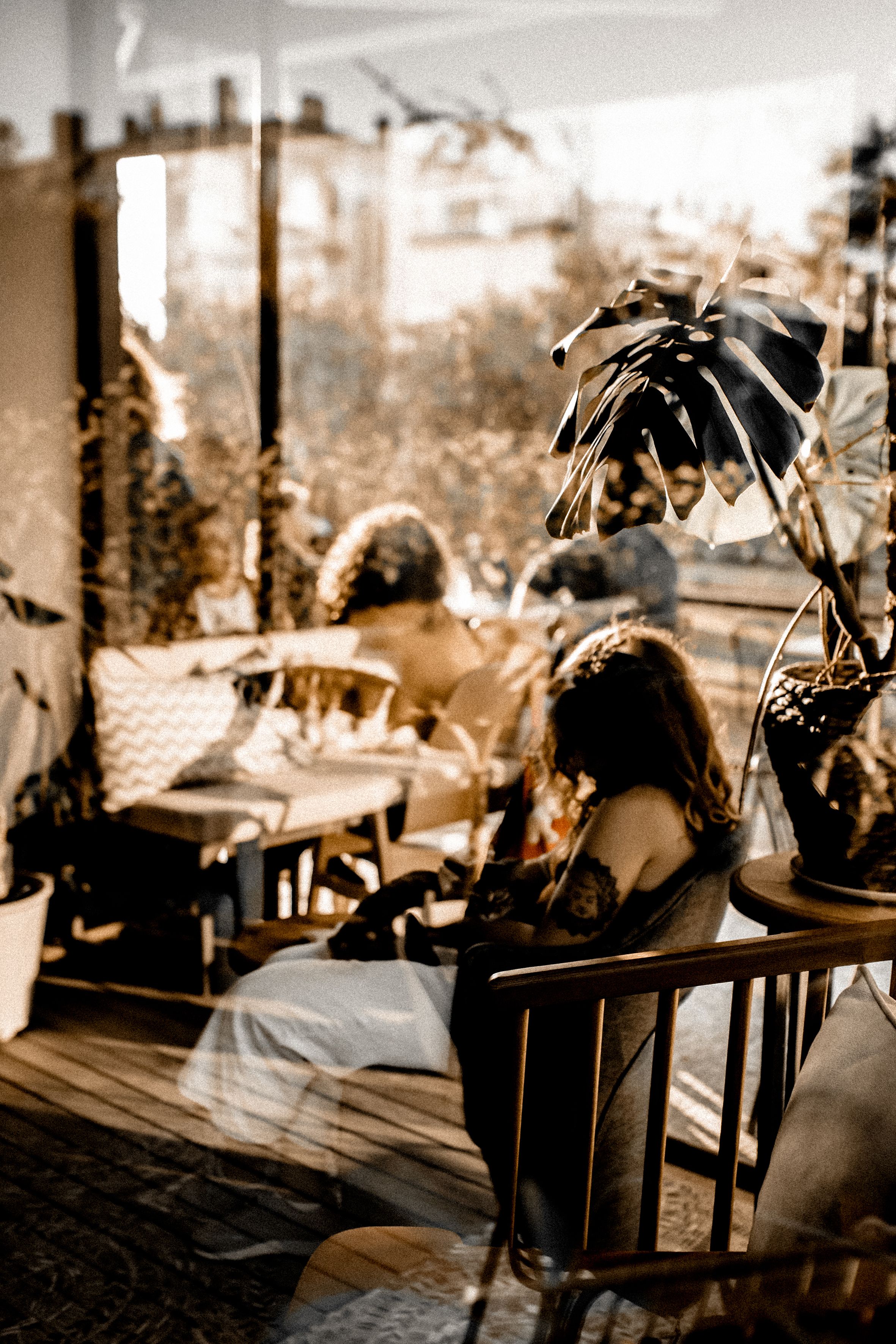 Chill Photos, Download The BEST Free Chill Stock Photos & HD Images