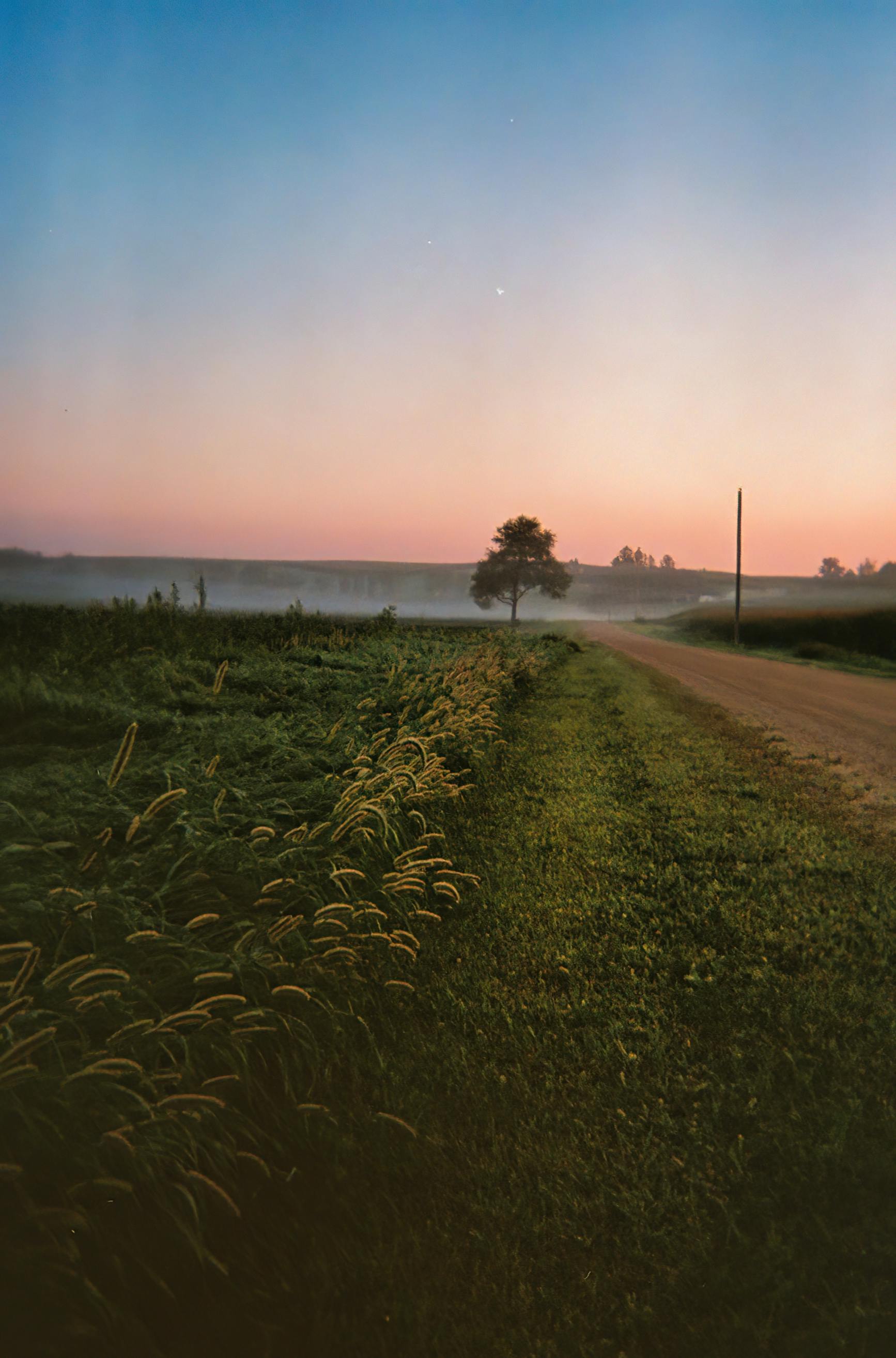 Photo gratuite de campagne, chemin de terre, clairière, coucher de ...