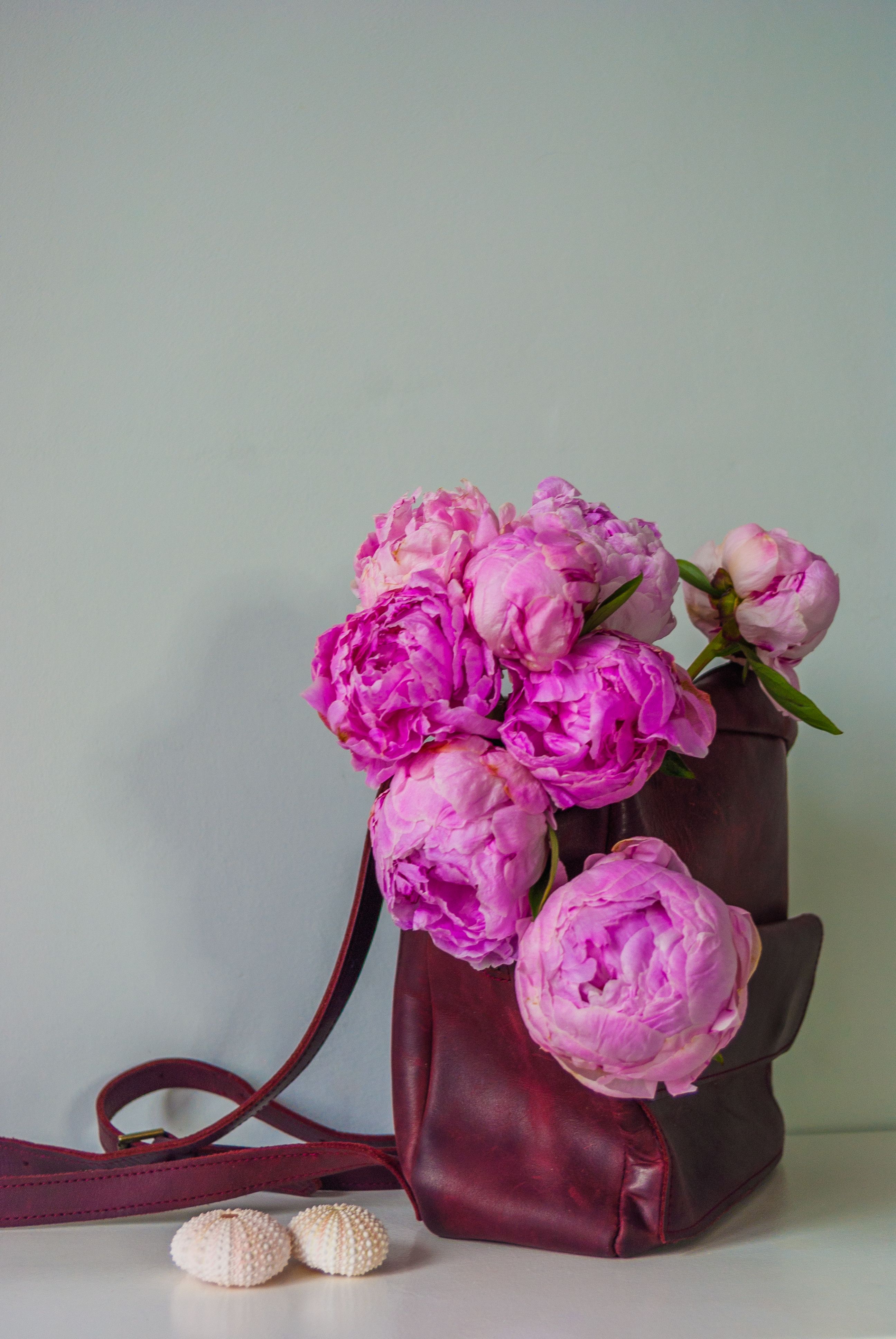 Flowers in a Bag · Free Stock Photo