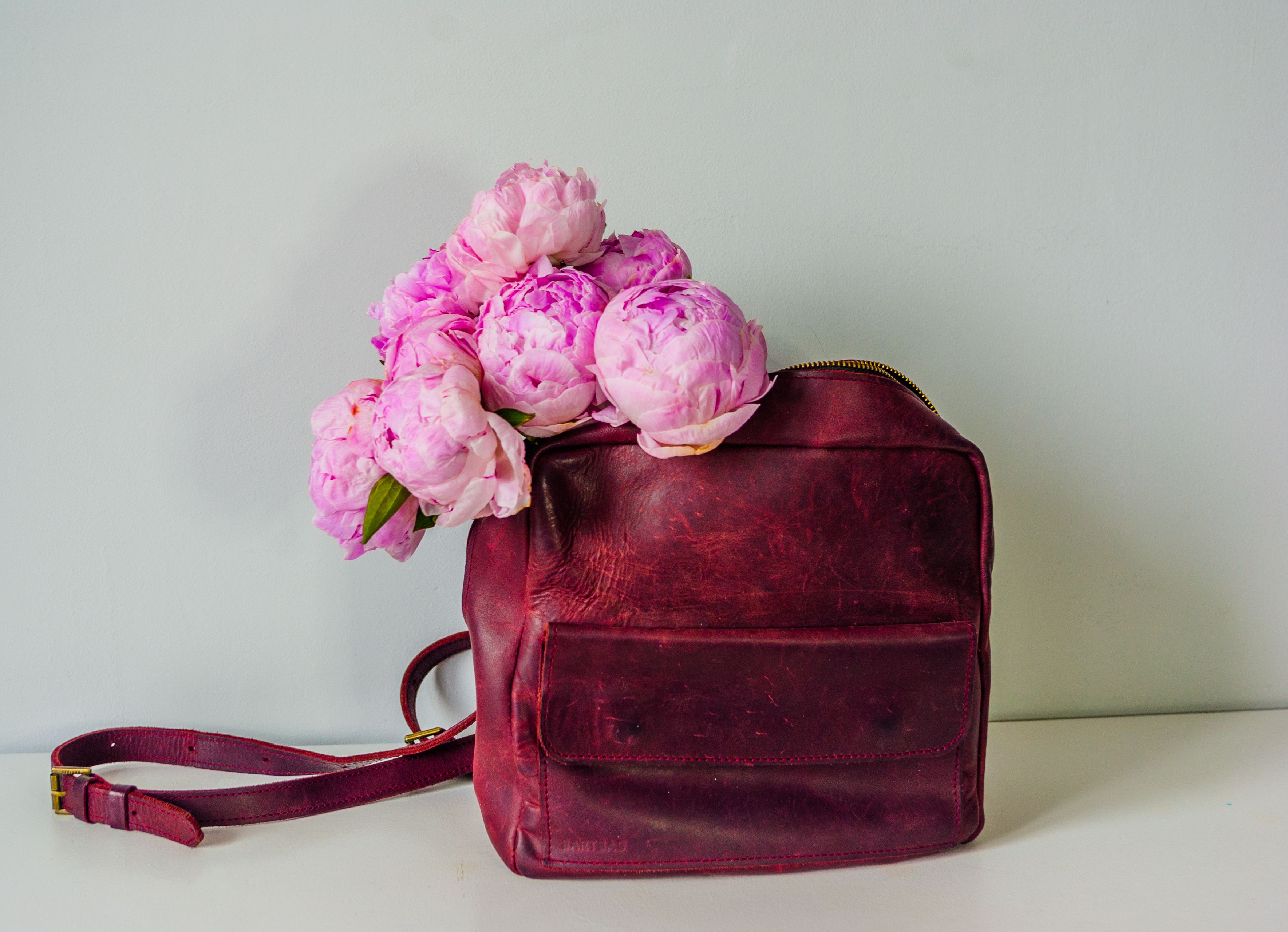 Flowers in a Bag · Free Stock Photo