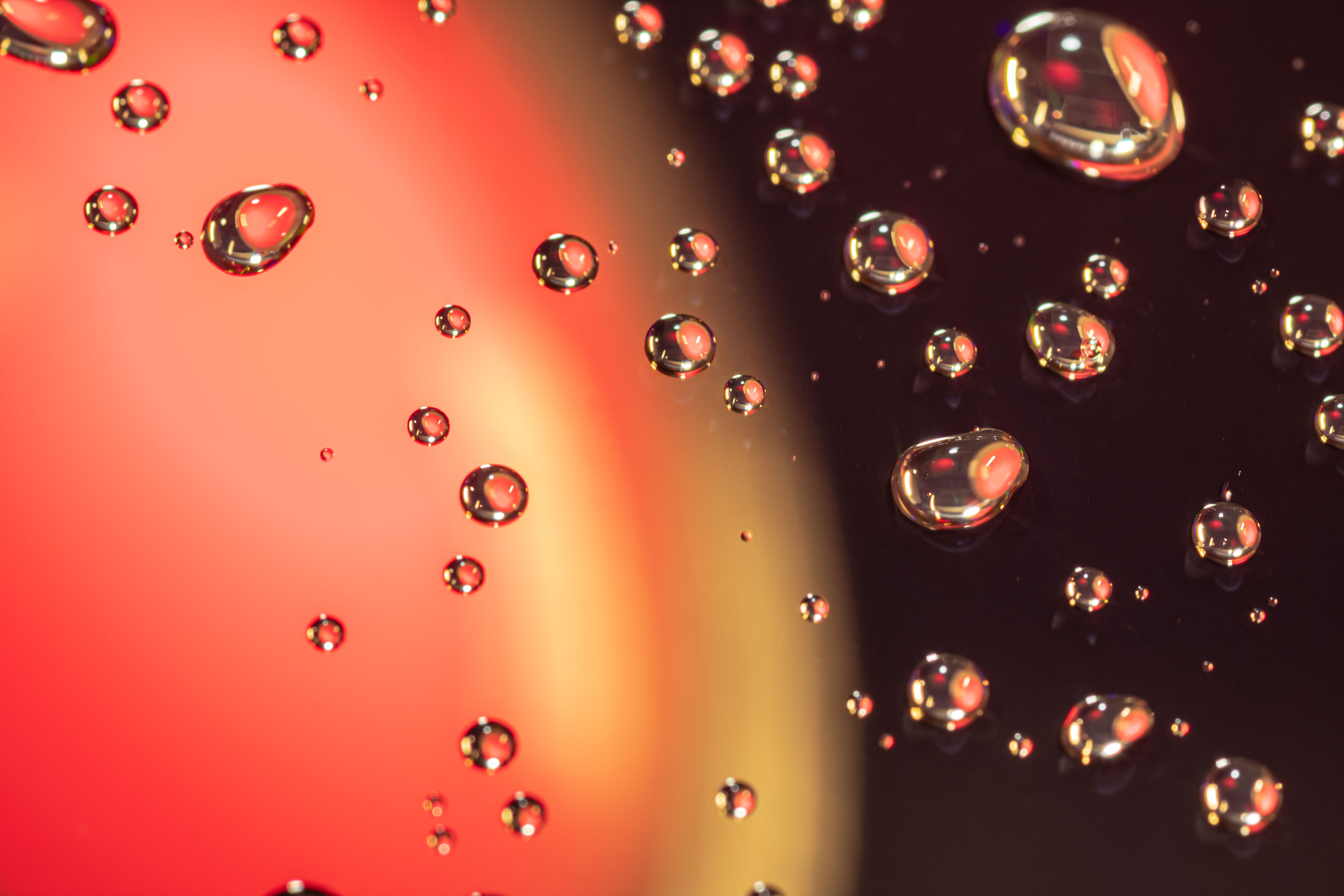 Water Droplets Reflecting Light · Free Stock Photo