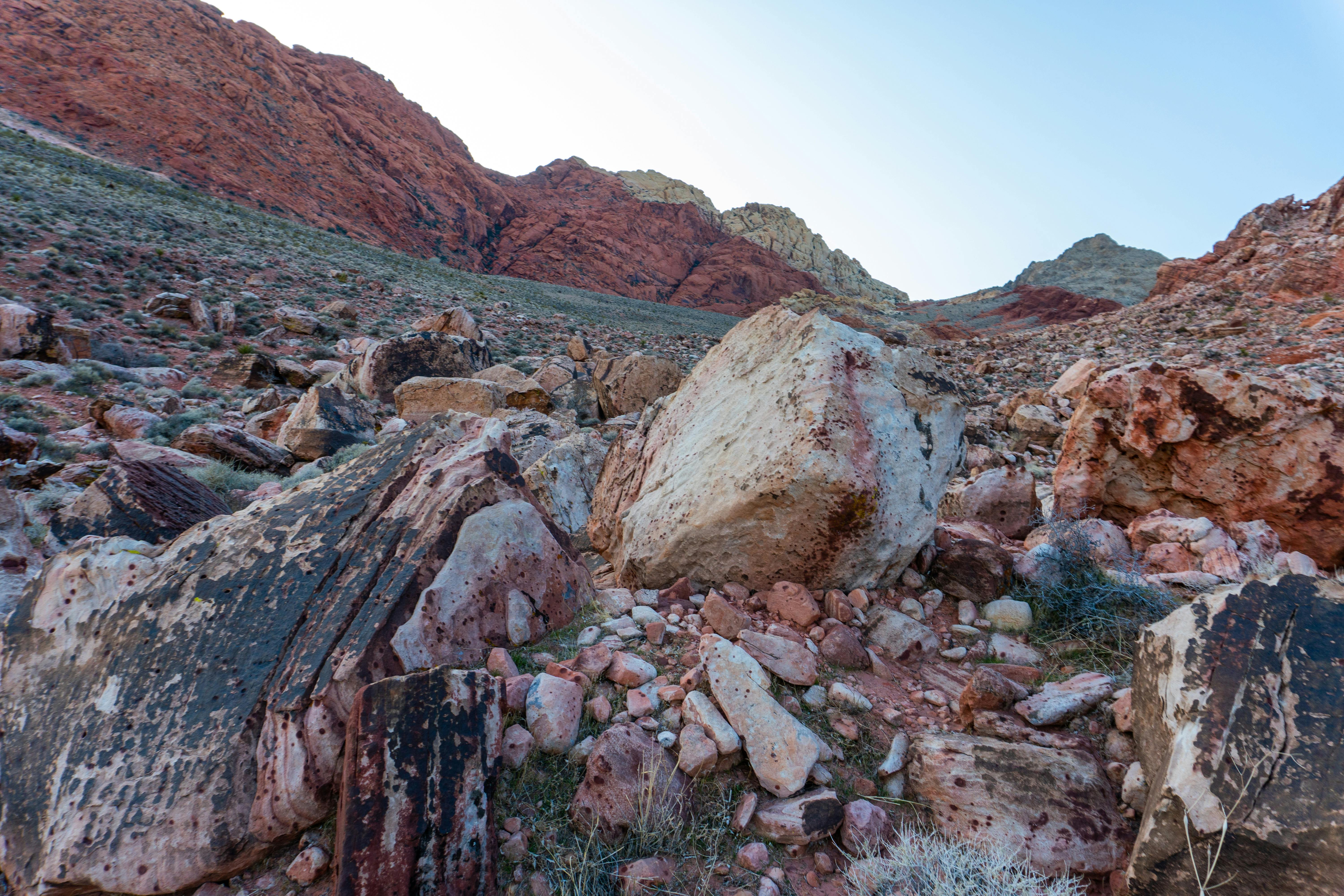 Red Canyon Rock Formations · Free Stock Photo