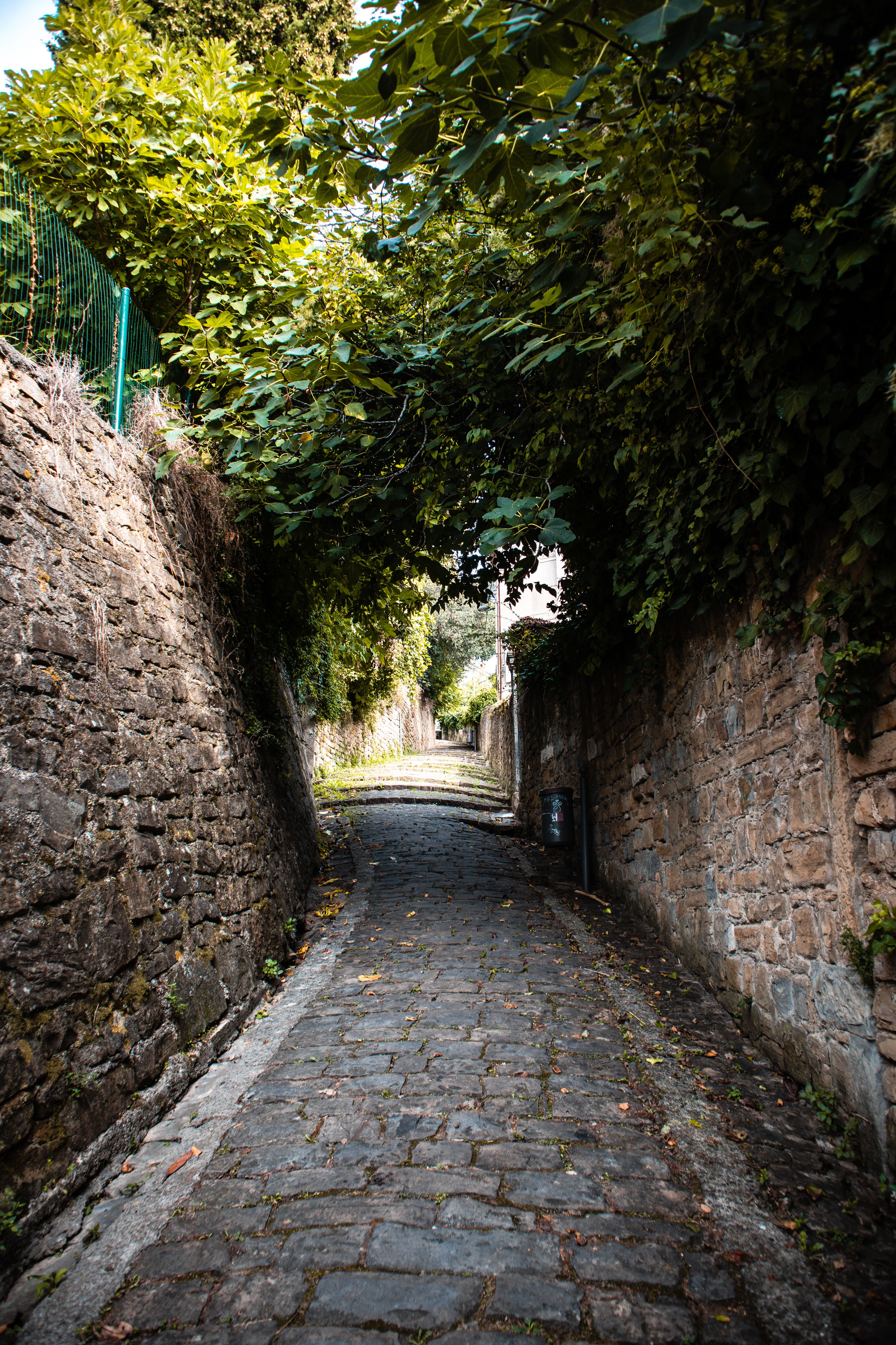 Cobblestone Alley · Free Stock Photo
