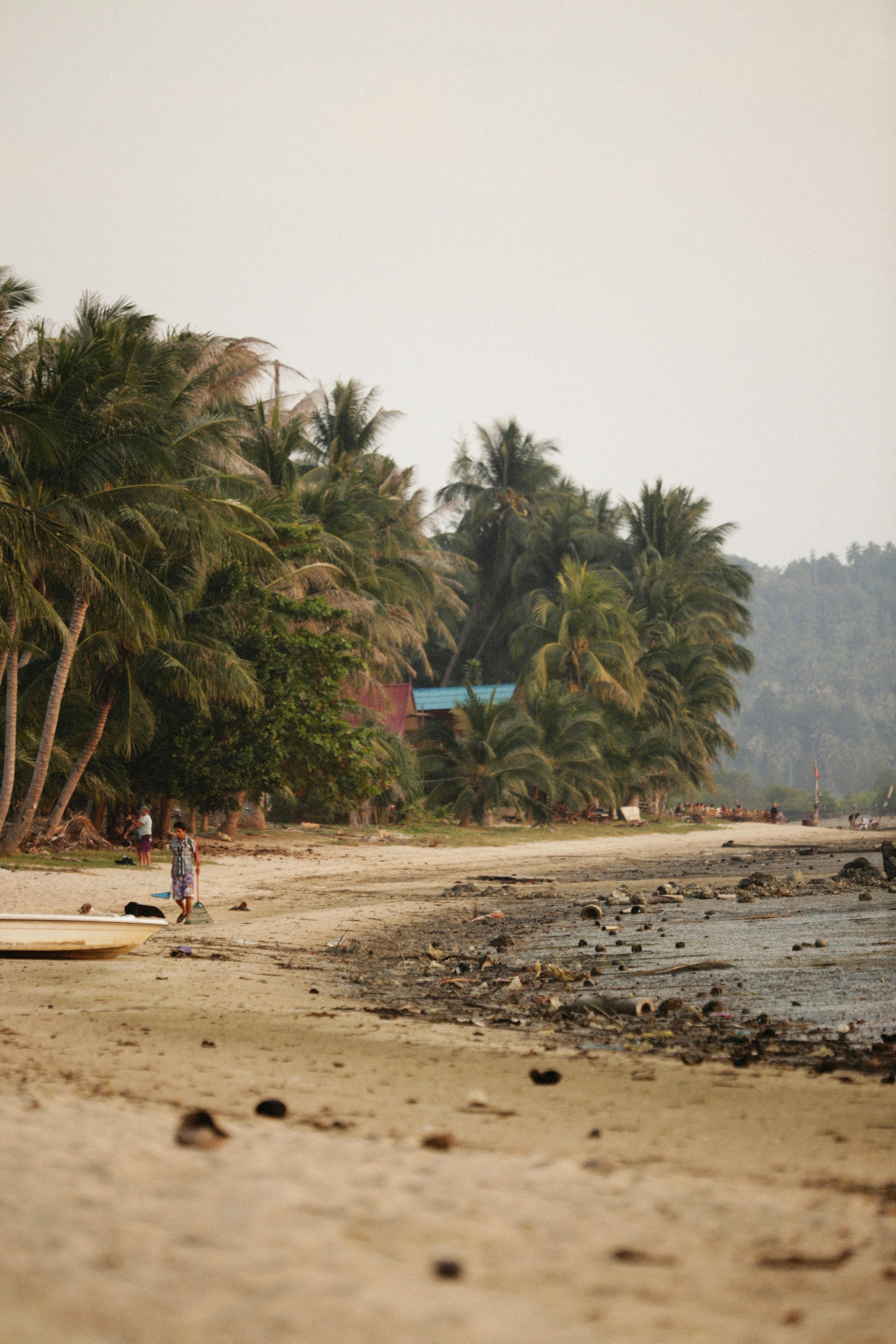 Sea Alien Photos, Download The BEST Free Sea Alien Stock Photos & HD Images