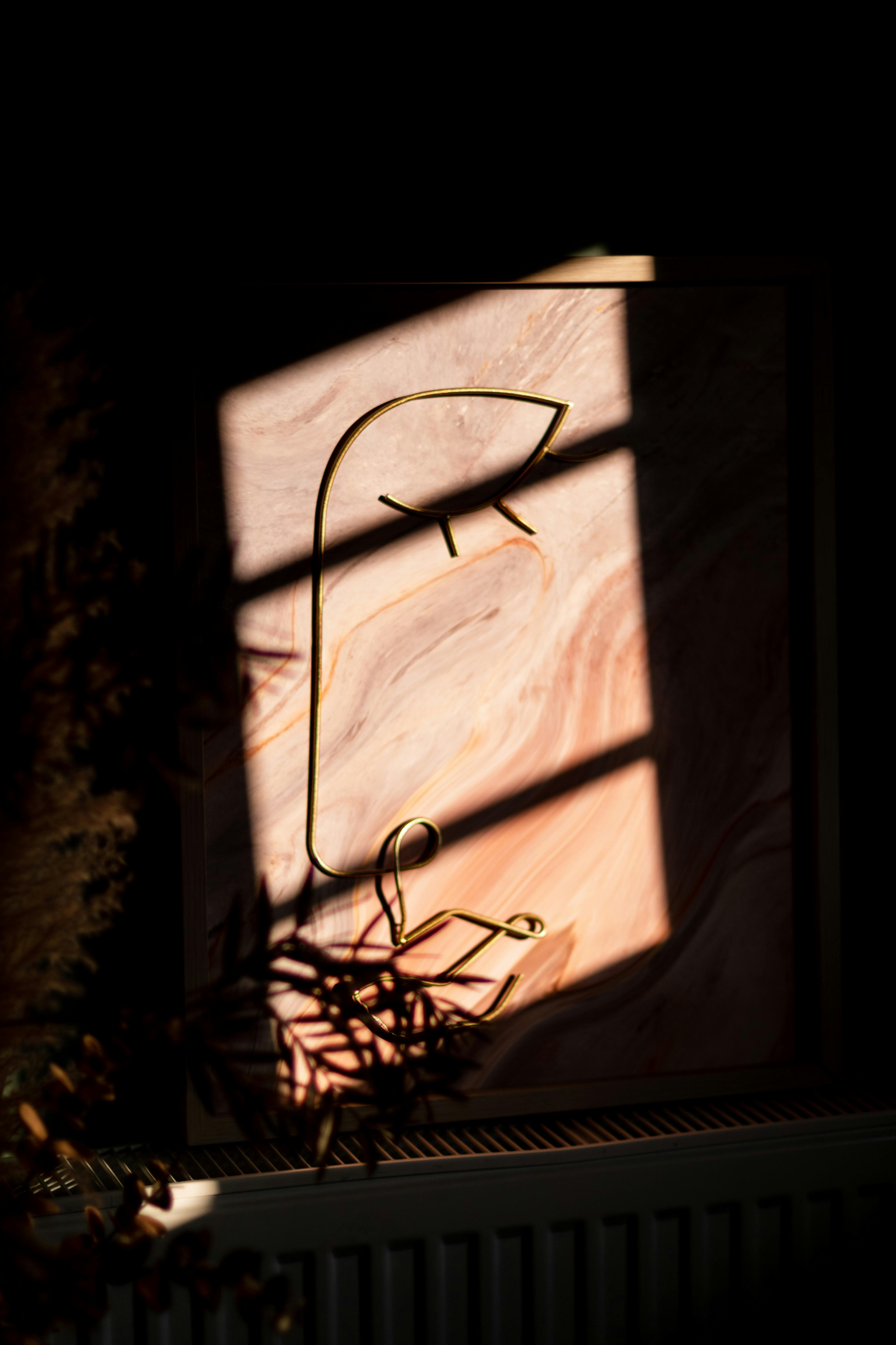 30+ Best Framework Photos · 100% Free Download · Pexels Stock Photos