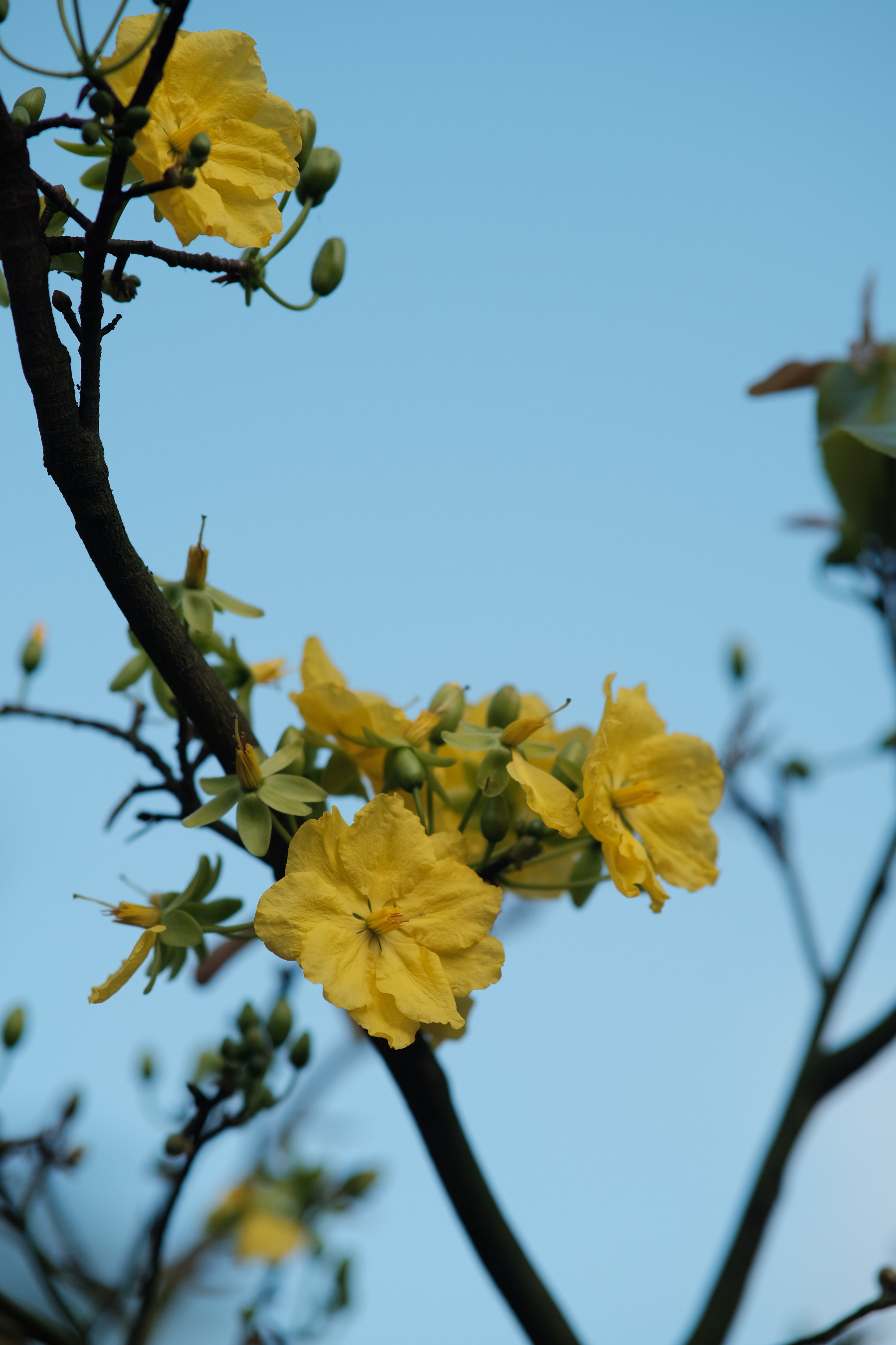 7.000+ melhores imagens de Paisagens De Primavera · Download 100% ...