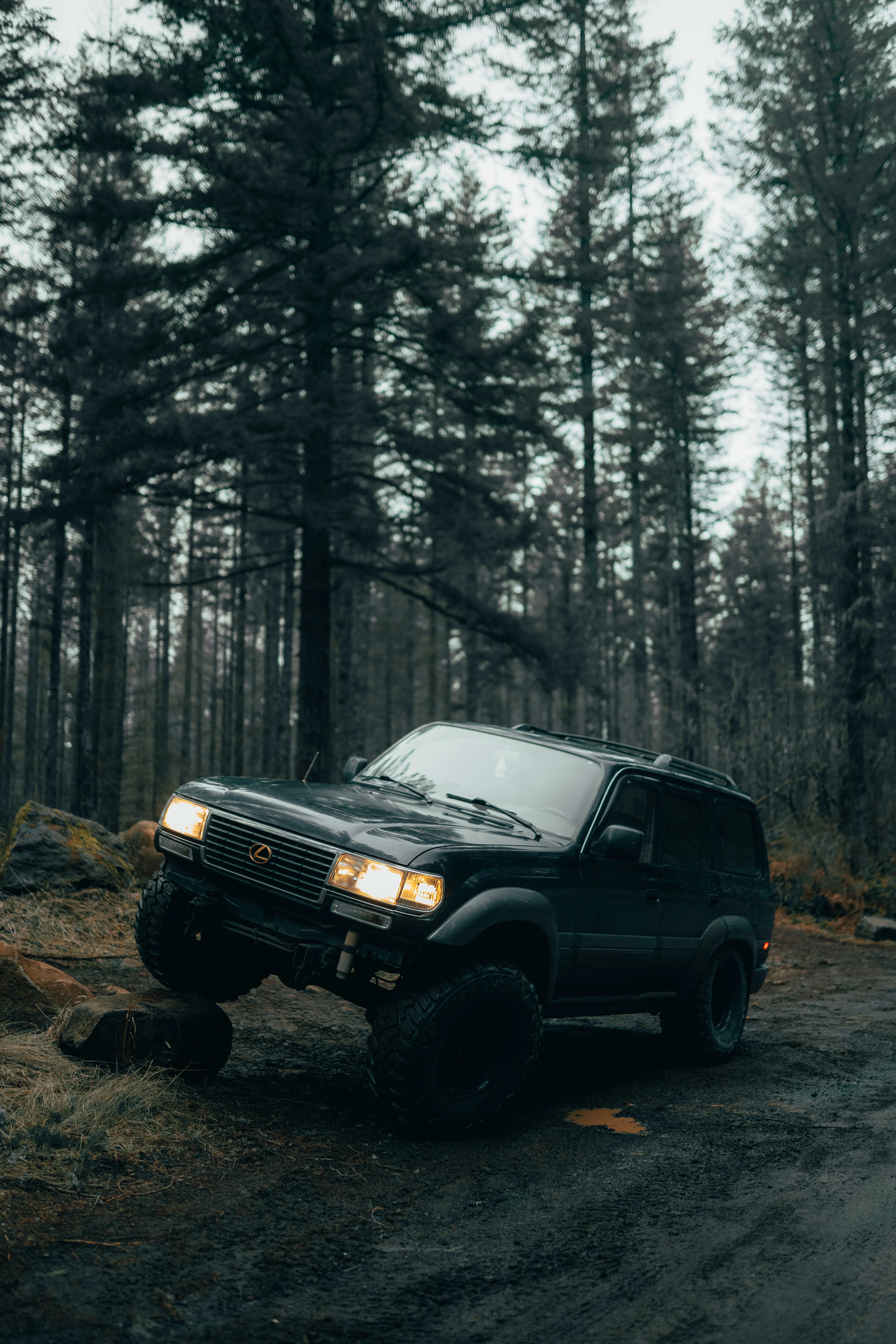 A Car in the Forest · Free Stock Photo
