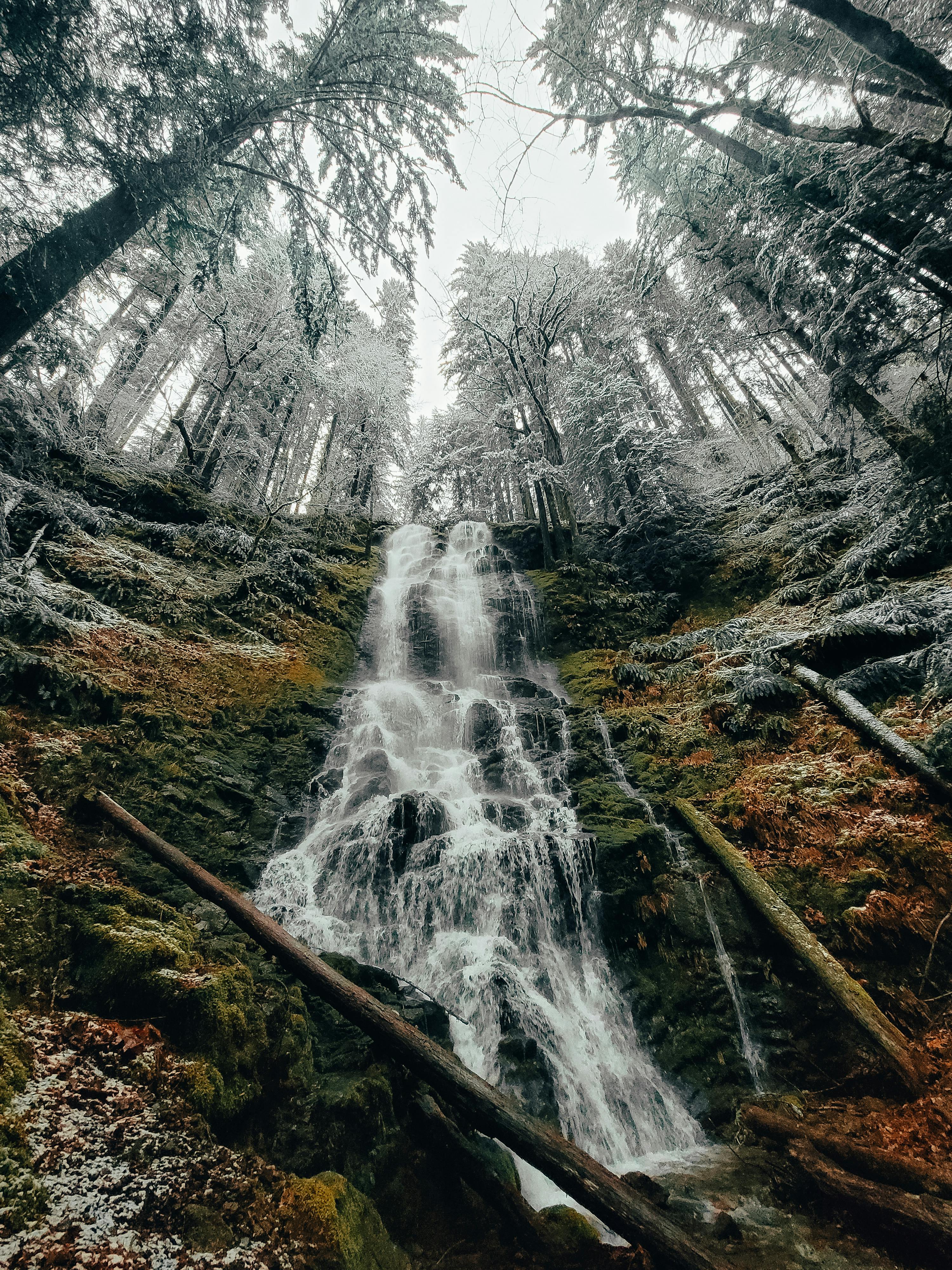 Waterfall in Snow Covered Forest · Free Stock Photo