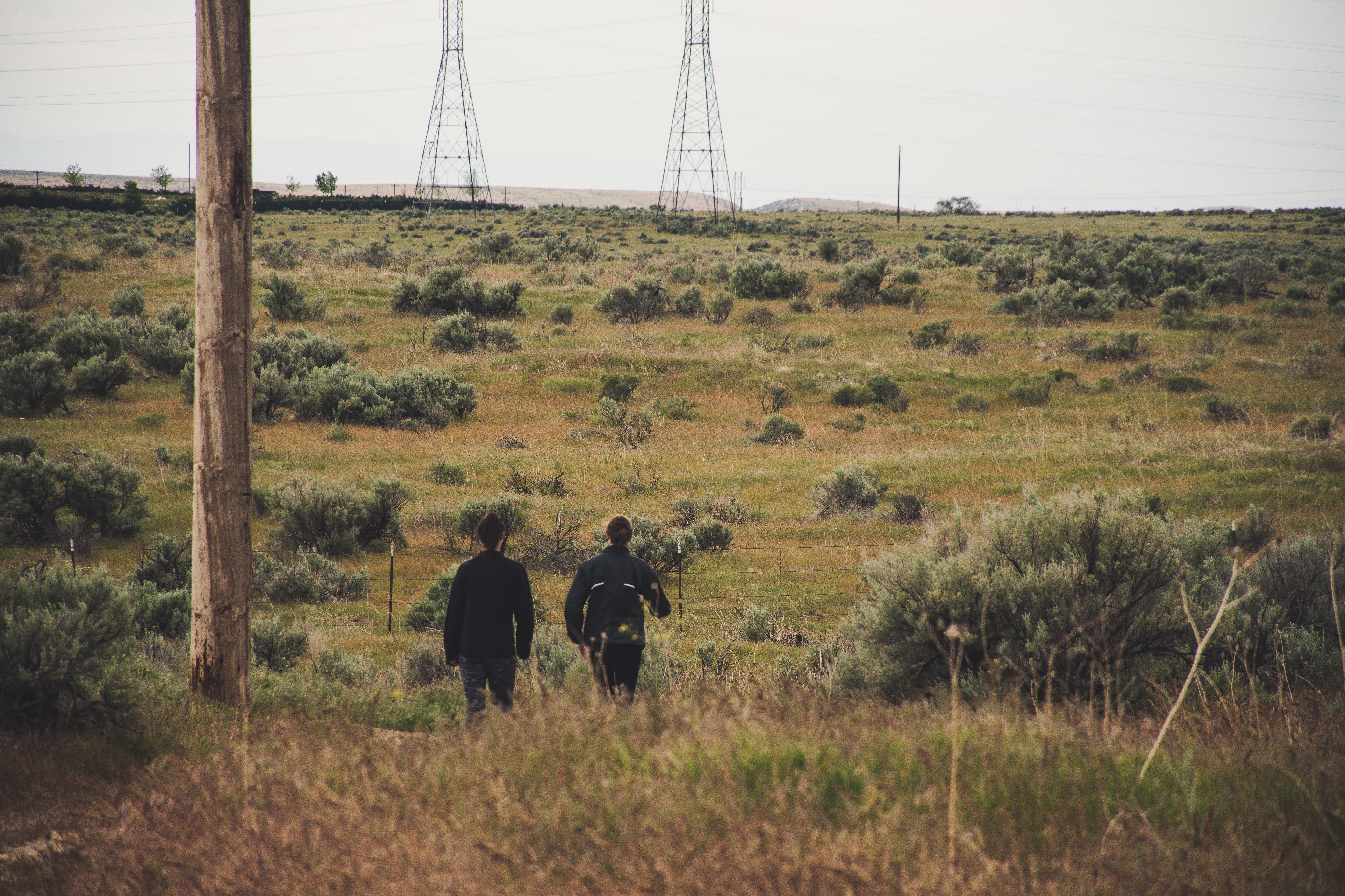 Two Men Walking on Grassy Field · Free Stock Photo
