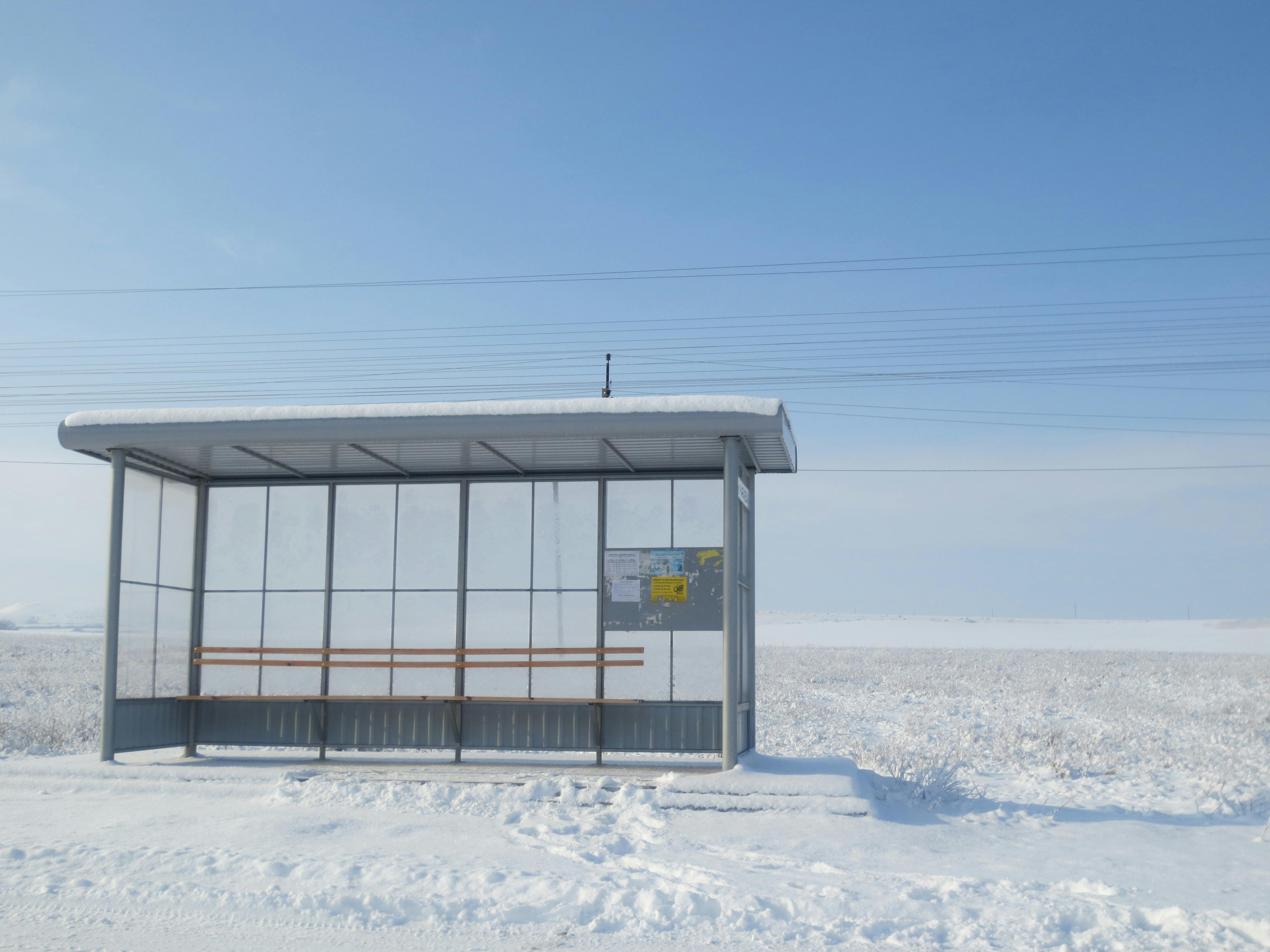 People on Waiting Shed · Free Stock Photo
