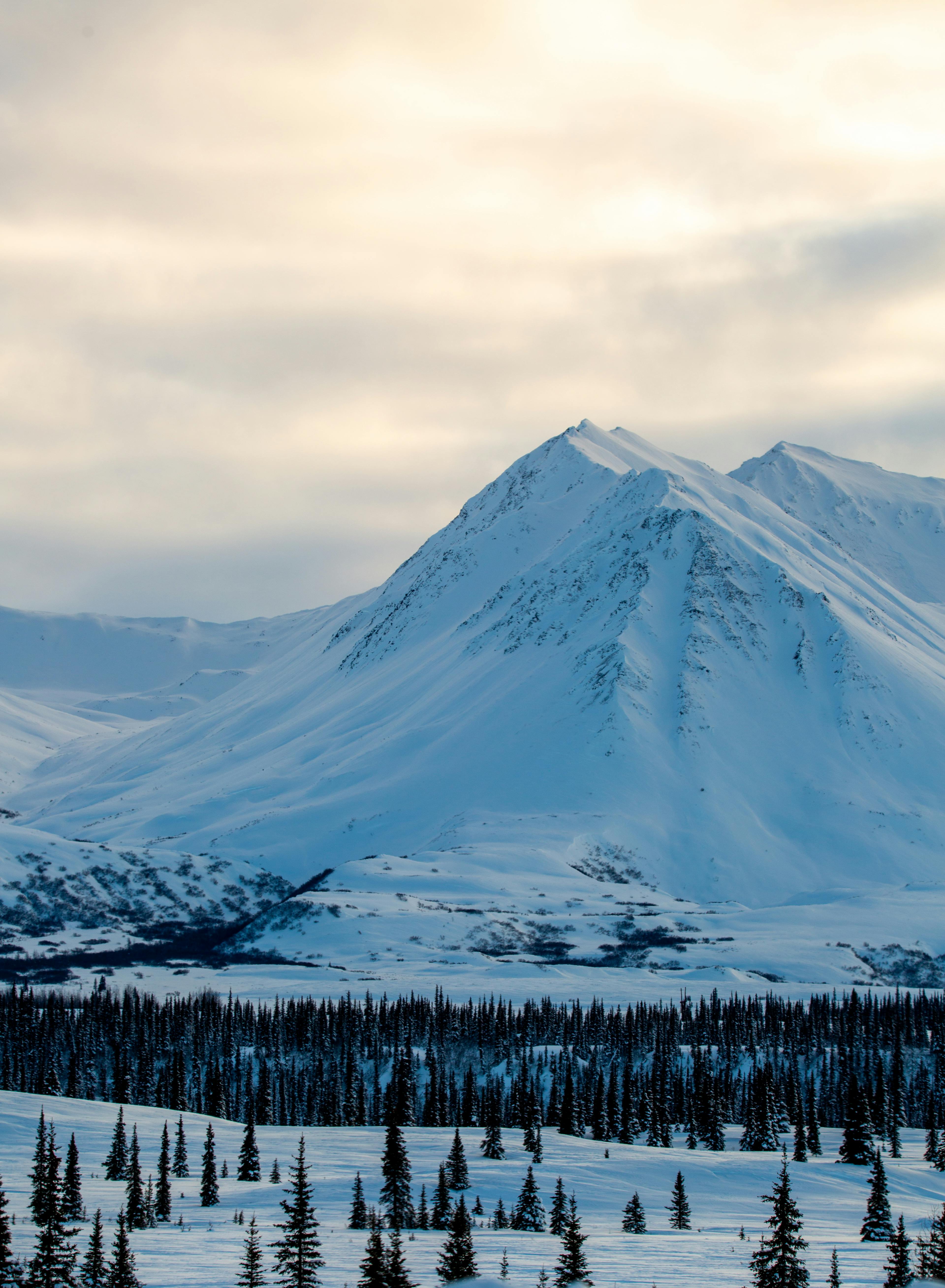 Arctic Landscape of Snowcapped Mountain · Free Stock Photo