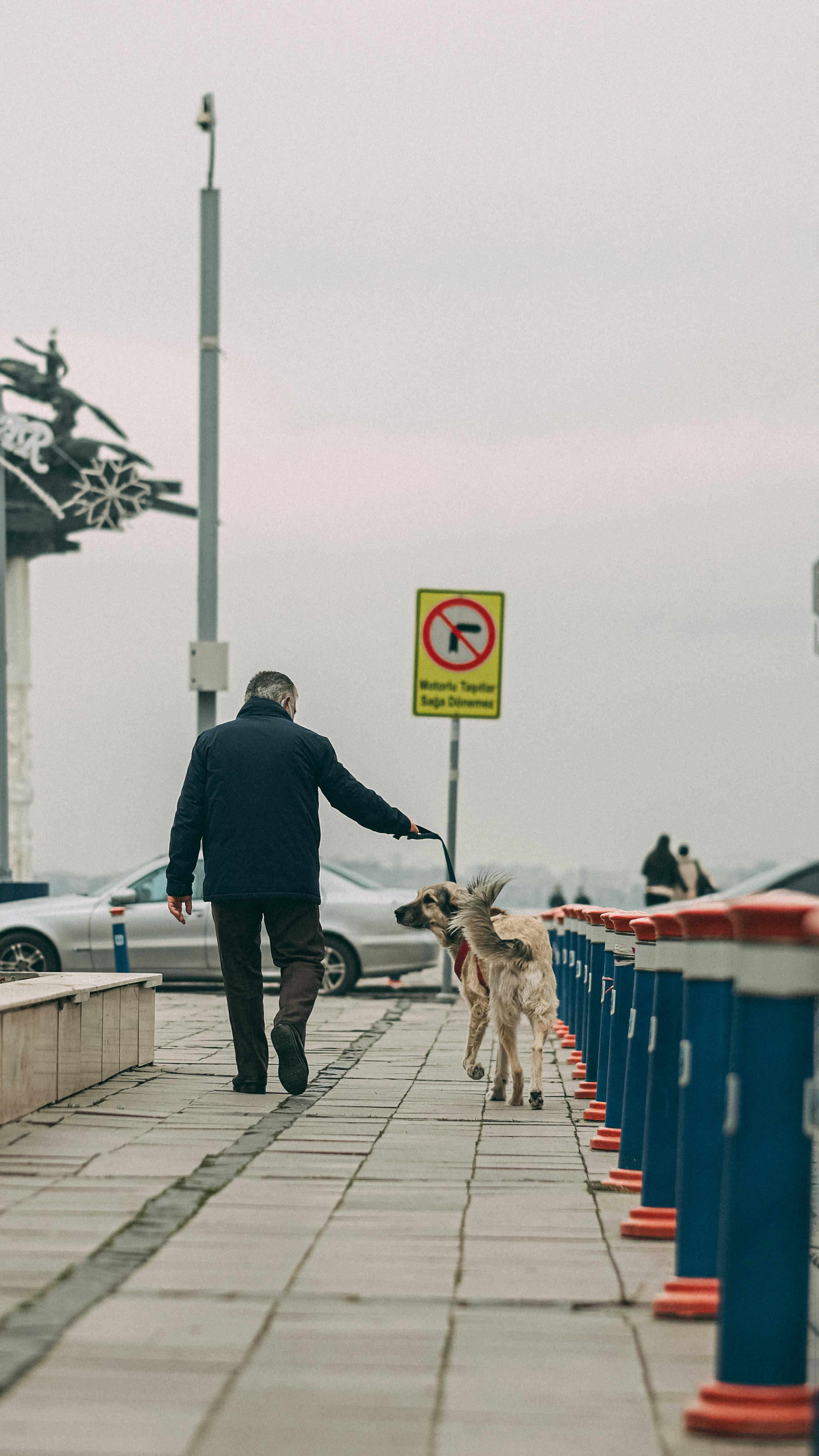 A Back View of a Man Walking with His Dog · Free Stock Photo