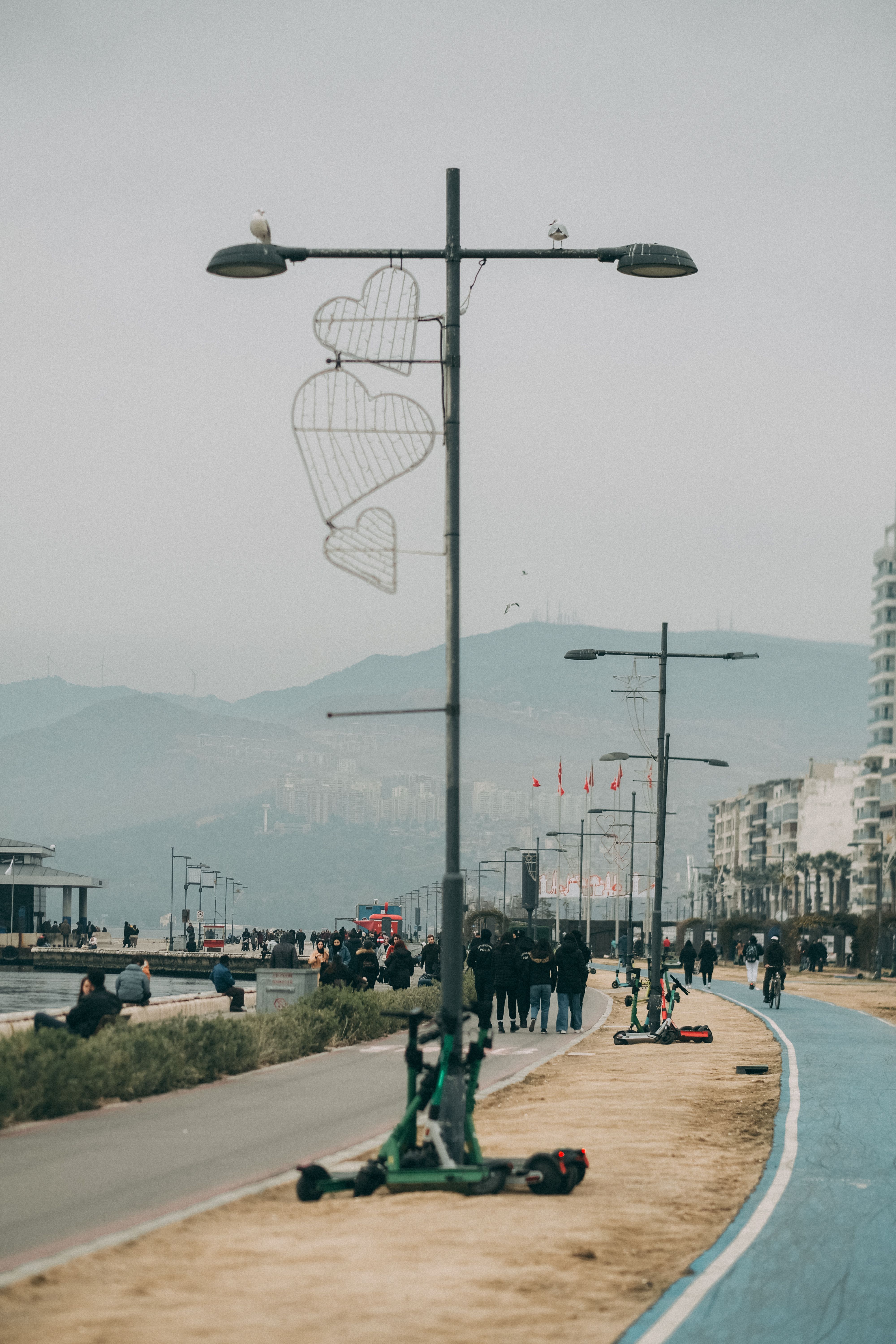 Scooters and Street Poles · Free Stock Photo