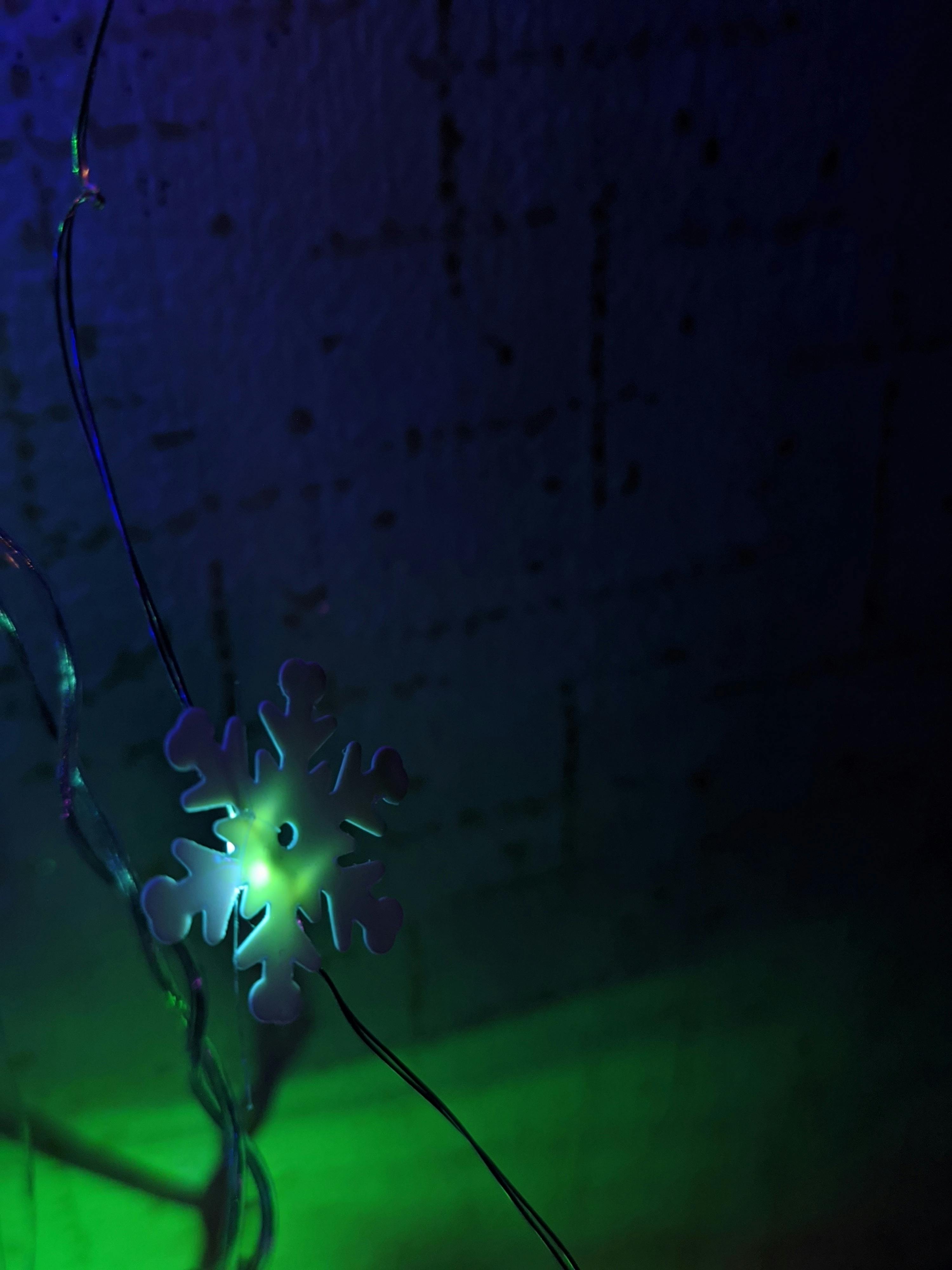 Ally Ross 님의 Bright Lights 컬렉션 사진 및 동영상 22개