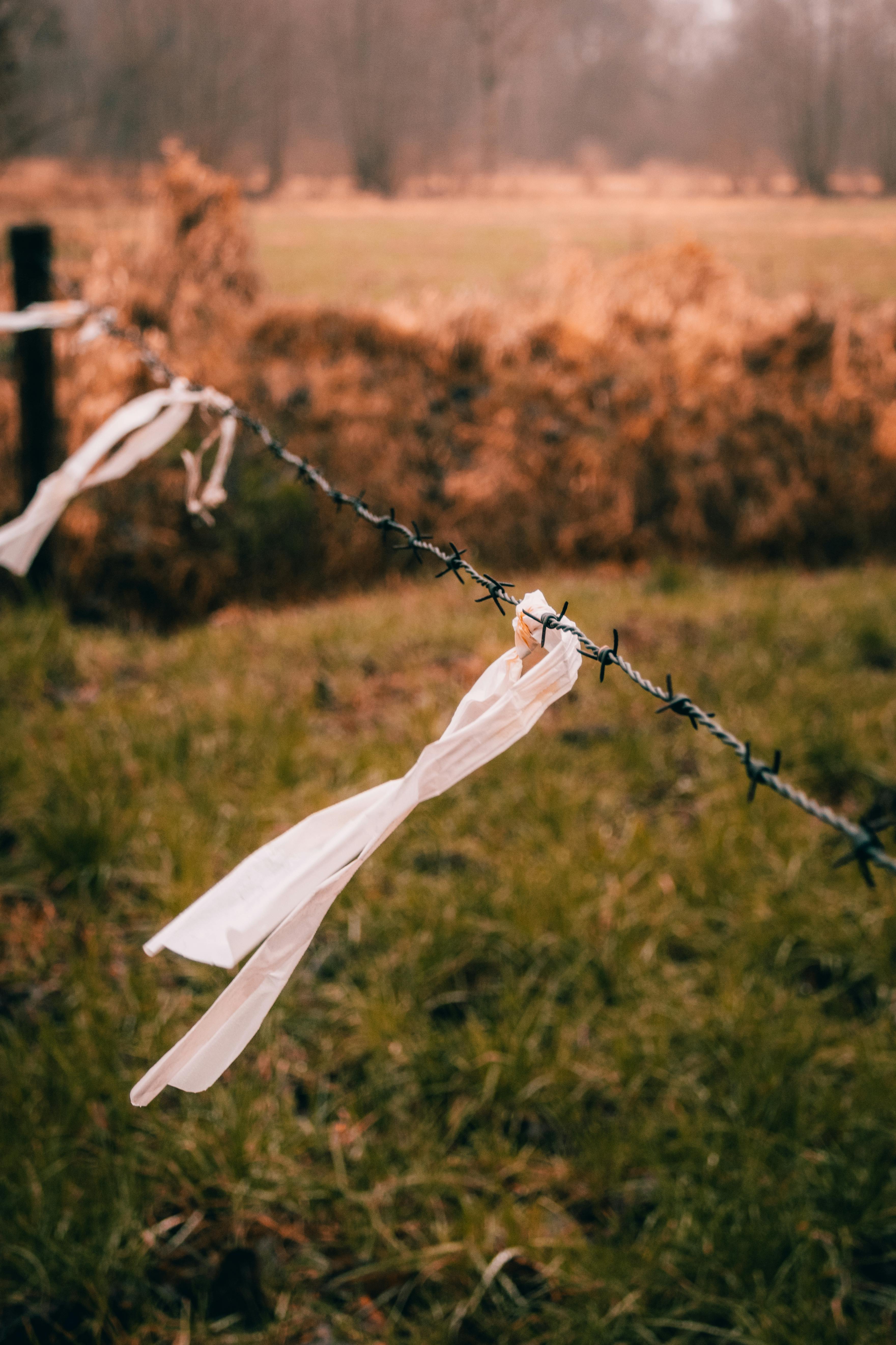 Warning Sign on Wire Fence · Free Stock Photo