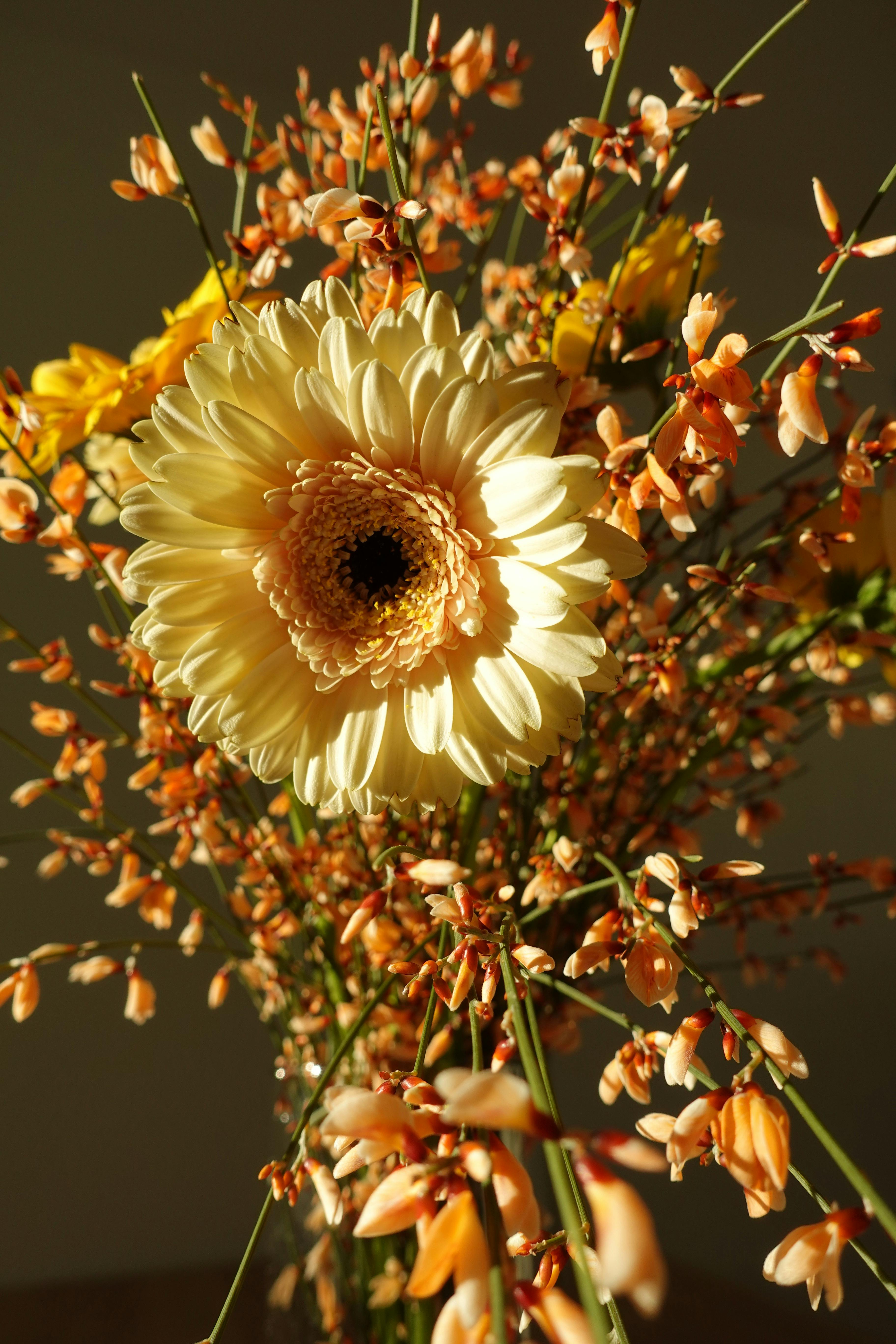 Bunch of Flowers · Free Stock Photo