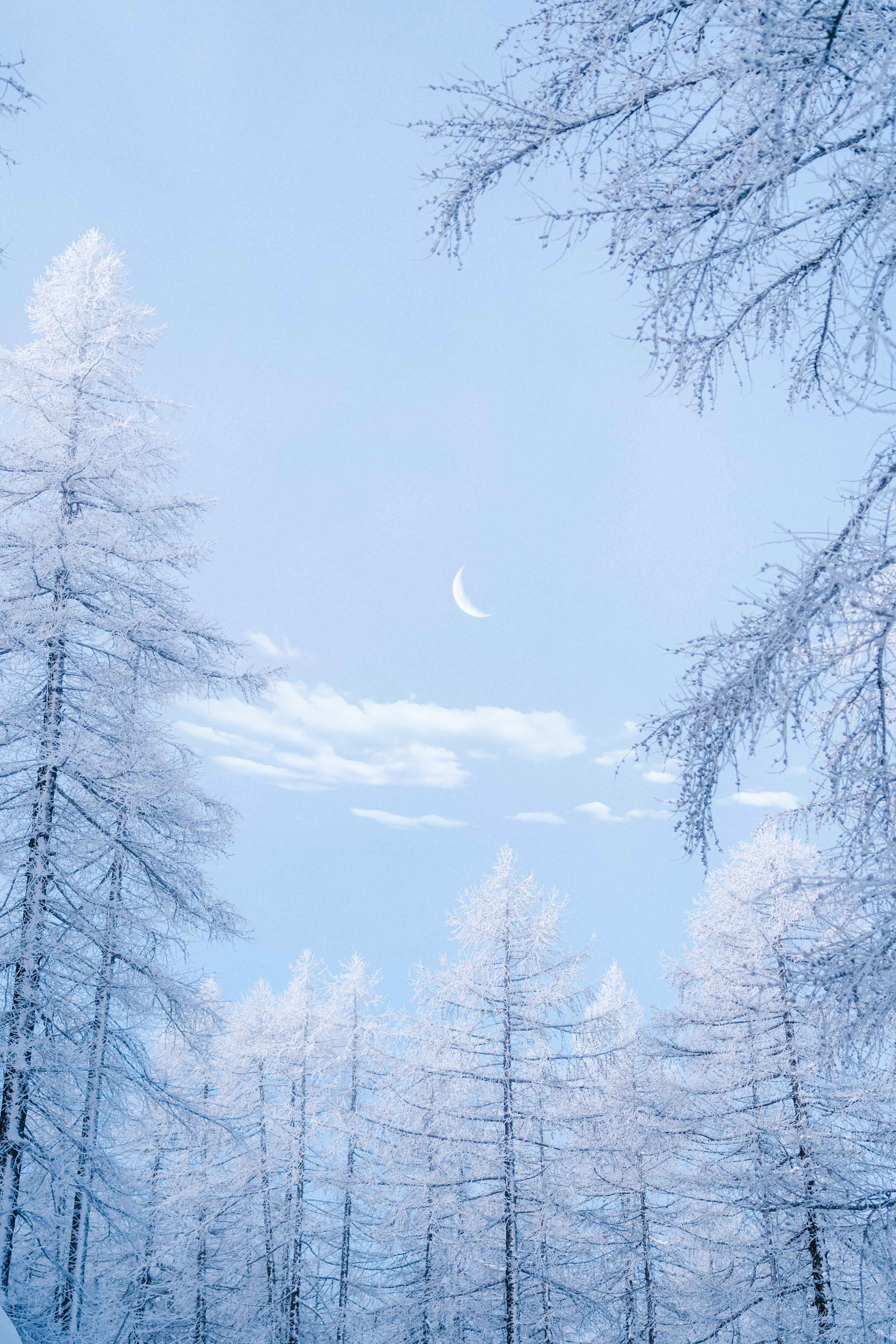 Snow Moon Photos, Download The BEST Free Snow Moon Stock Photos & HD Images